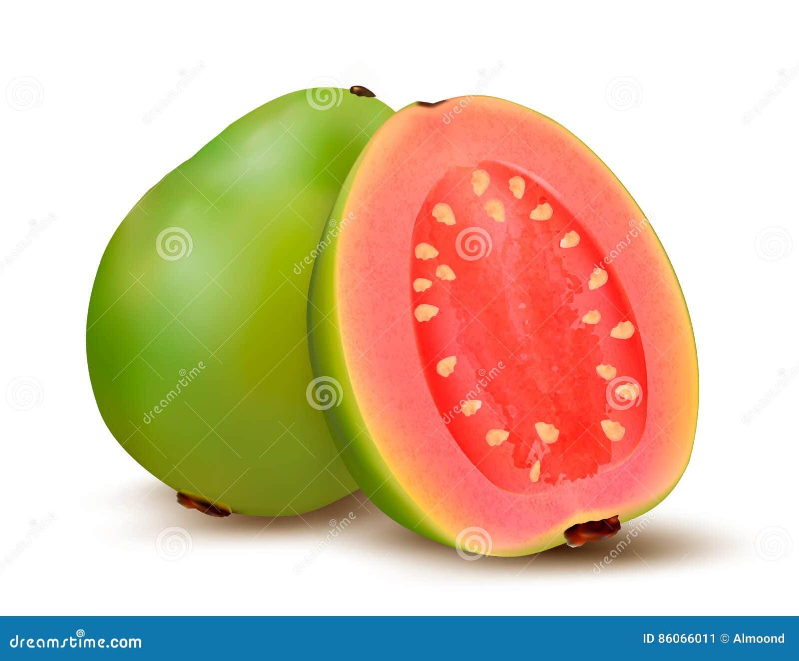Guava Cartoons, Illustrations & Vector Stock Images - 14369 Pictures to ...
