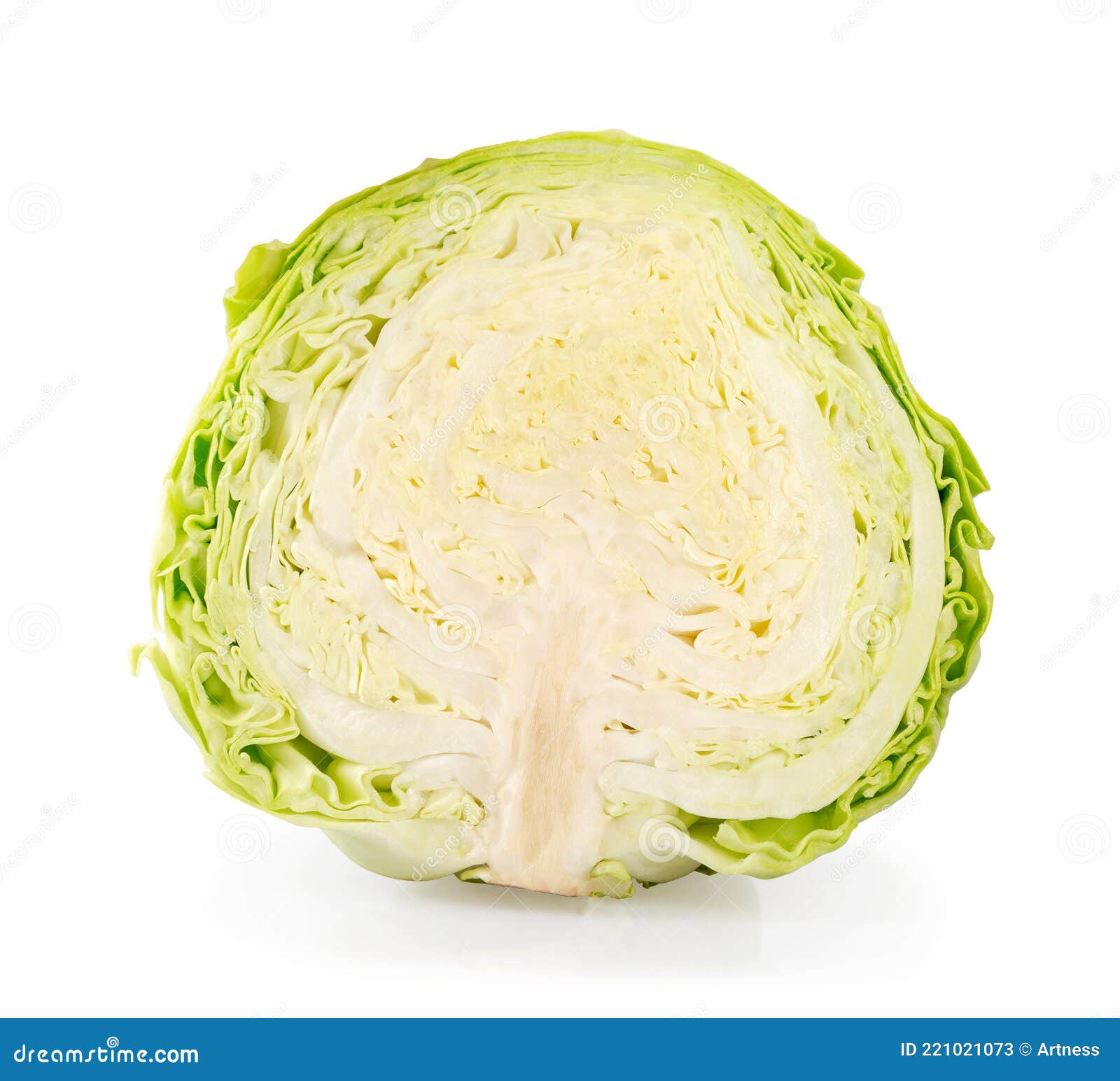 Fresh Green Half Cabbage on a White Background Stock Image - Image of ...