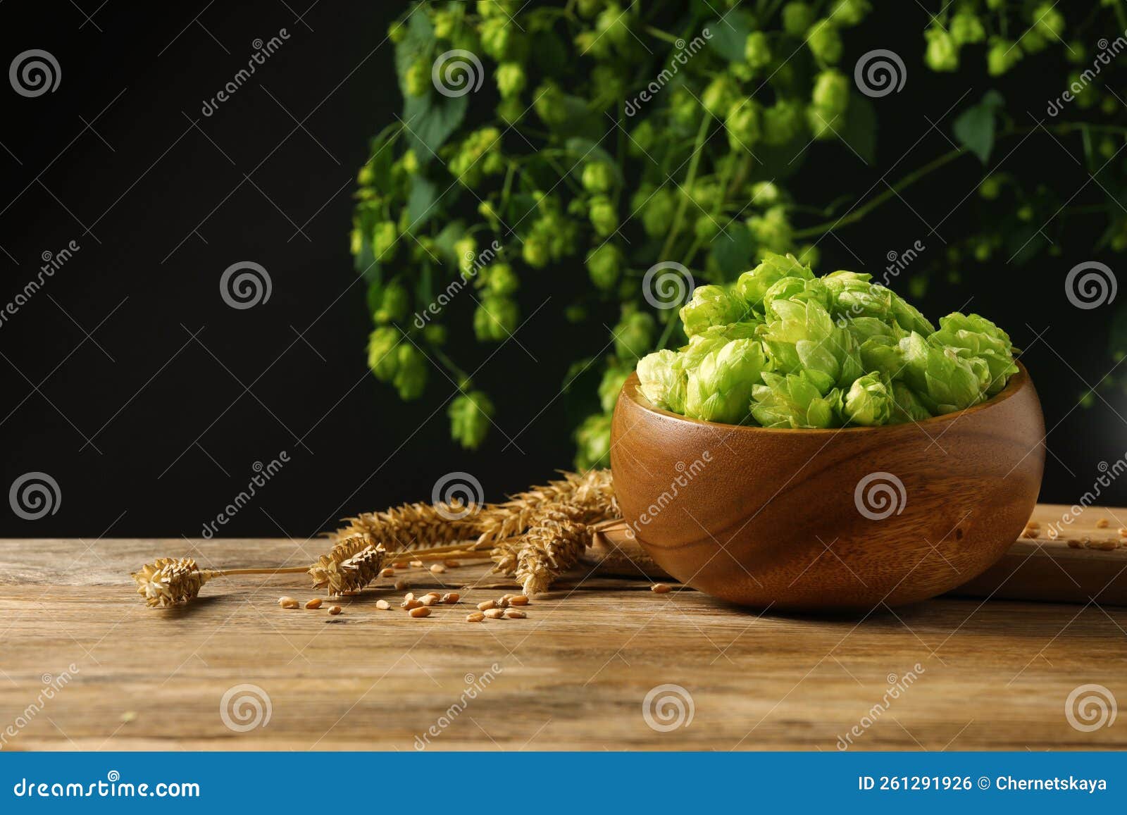 Fresh Green Hops, Wheat Grains and Spikes on Wooden Table, Space for ...