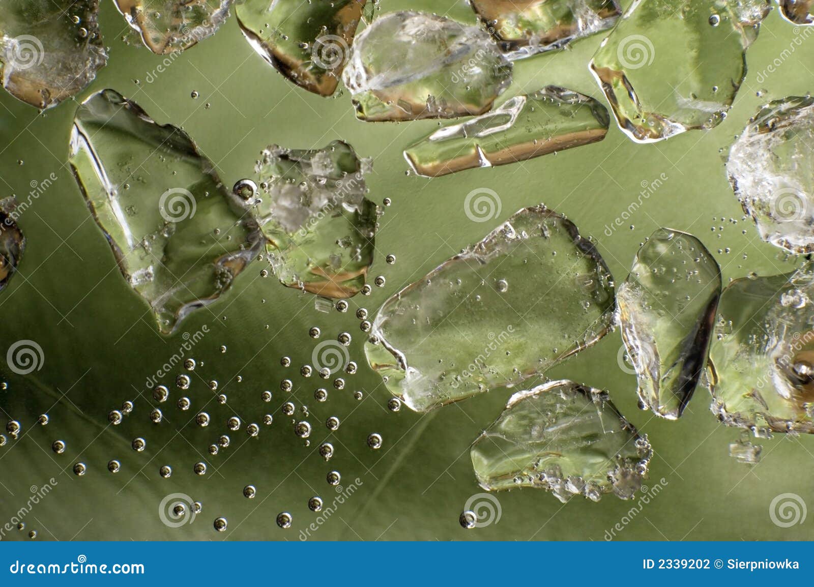Fresh green. ice cubes stock photo. Image of drink, design - 2339202