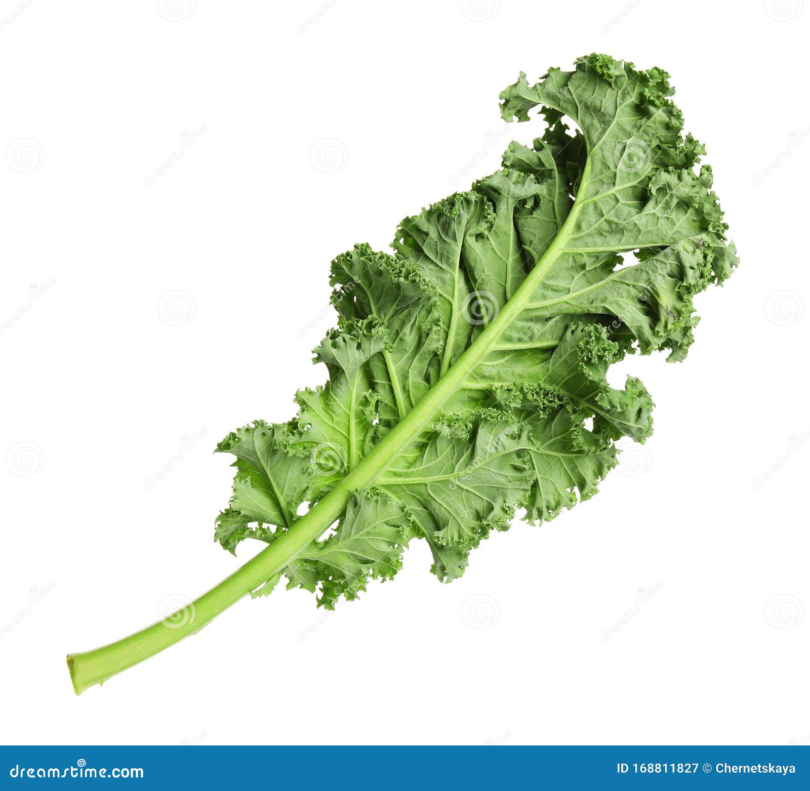 Fresh Green Kale Leaf Isolated Stock Image - Image of fresh, ripe ...