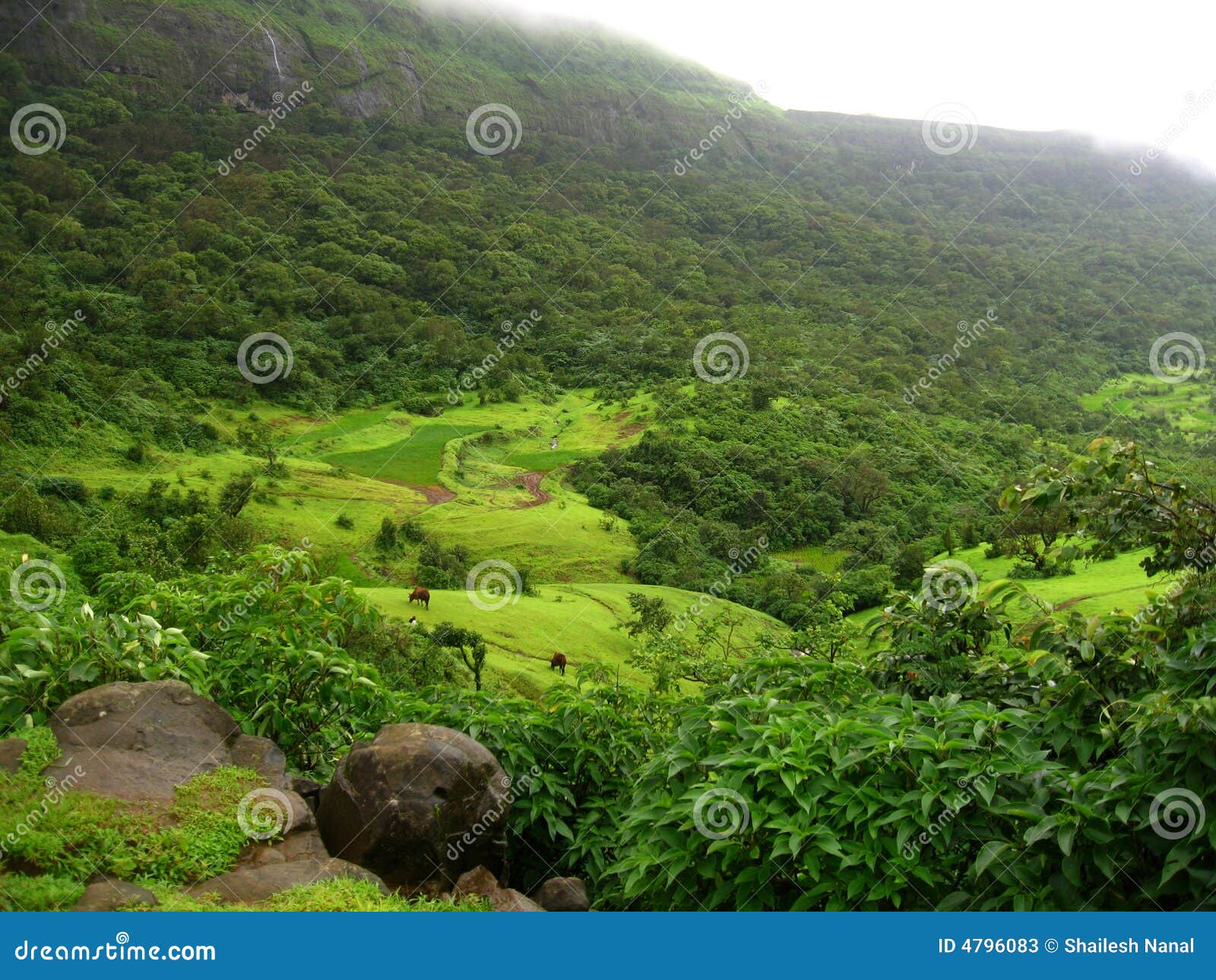 Fresh Green Landscape stock image. Image of classic, patch - 4796083