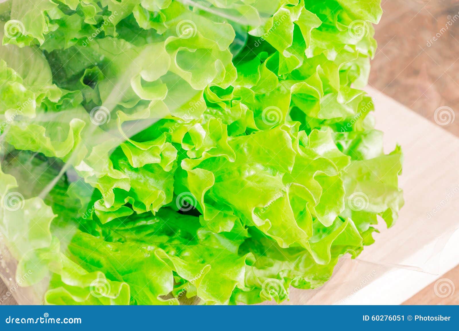 Fresh green leaf lettuce stock image. Image of healthy - 60276051