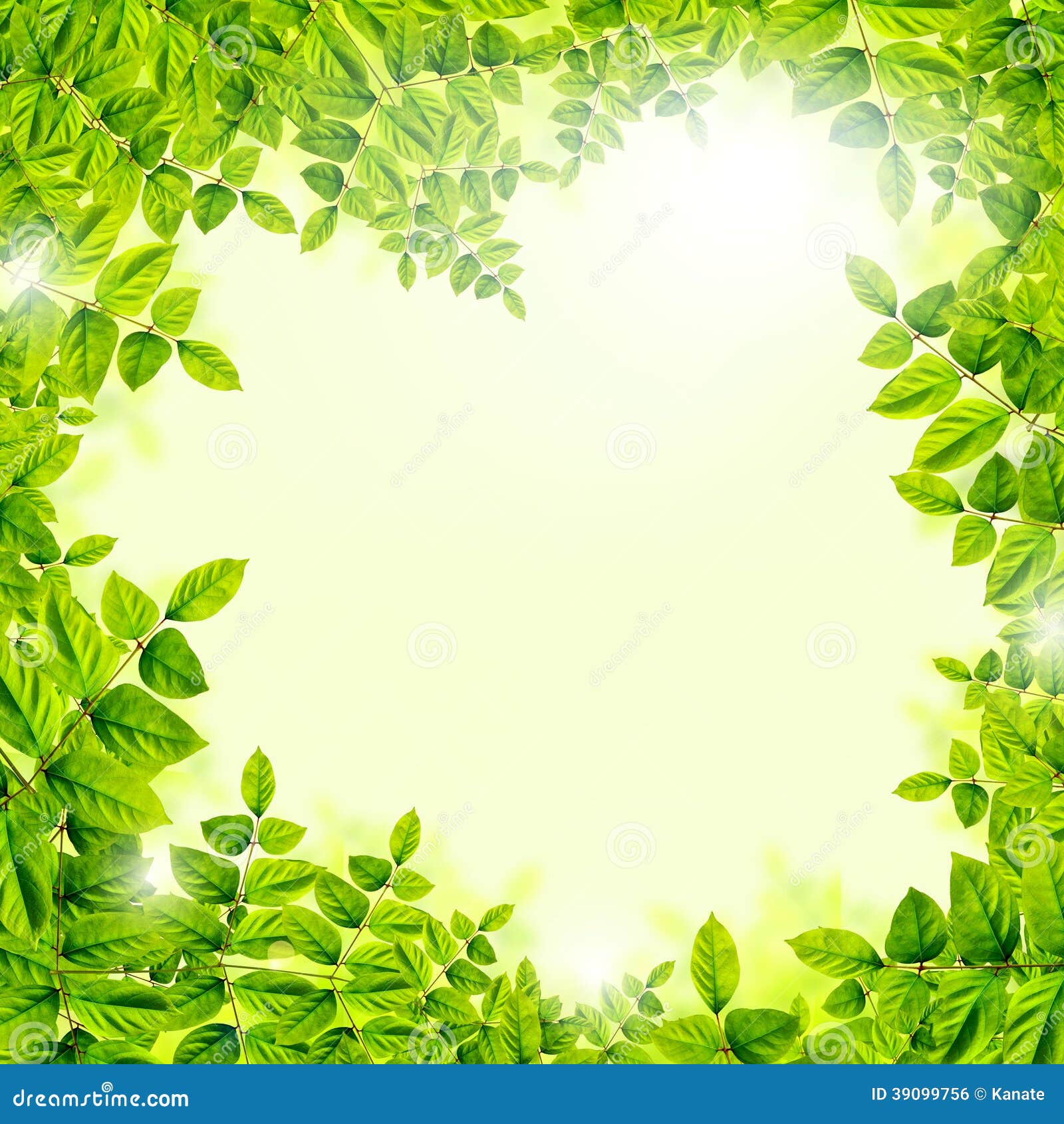 Fresh Green Leaves Background Stock Photo - Image of environment ...