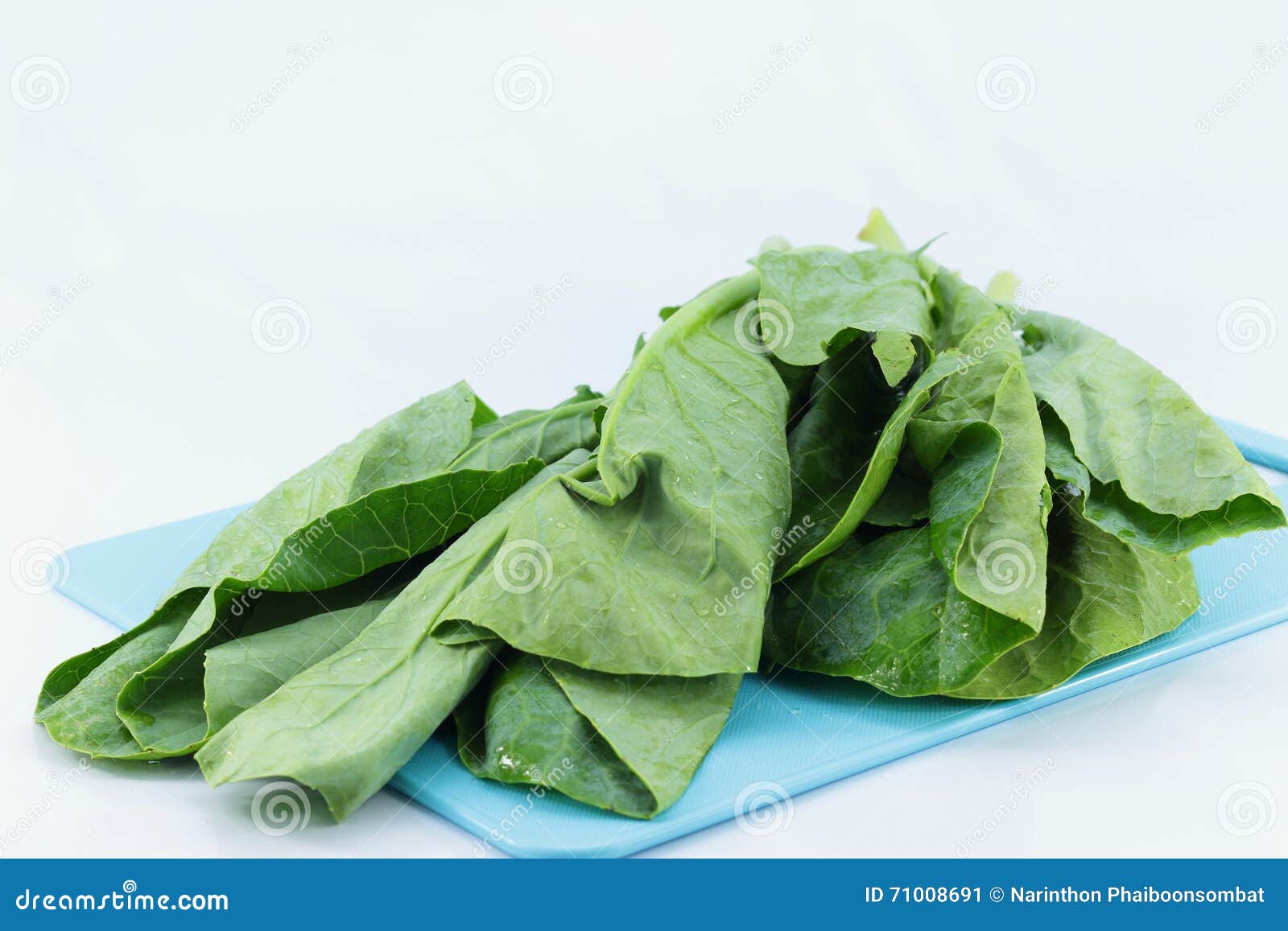 Fresh Green Leaves of Collards Stock Image - Image of harvest, soup ...
