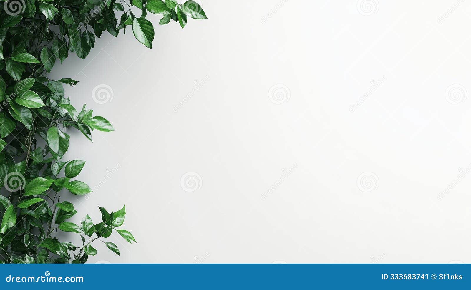 Fresh Green Leaves Creating a Border on Left Side of White Background ...