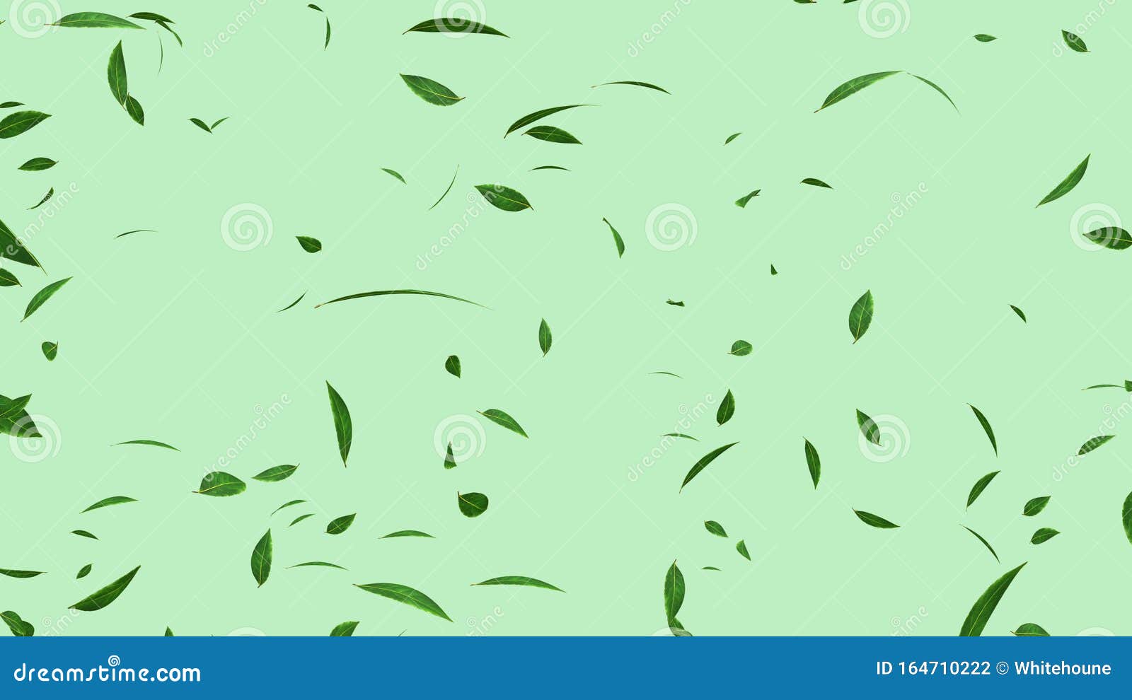 Fresh Green Leaves Falling Down Slowly Stock Footage - Video of fall ...