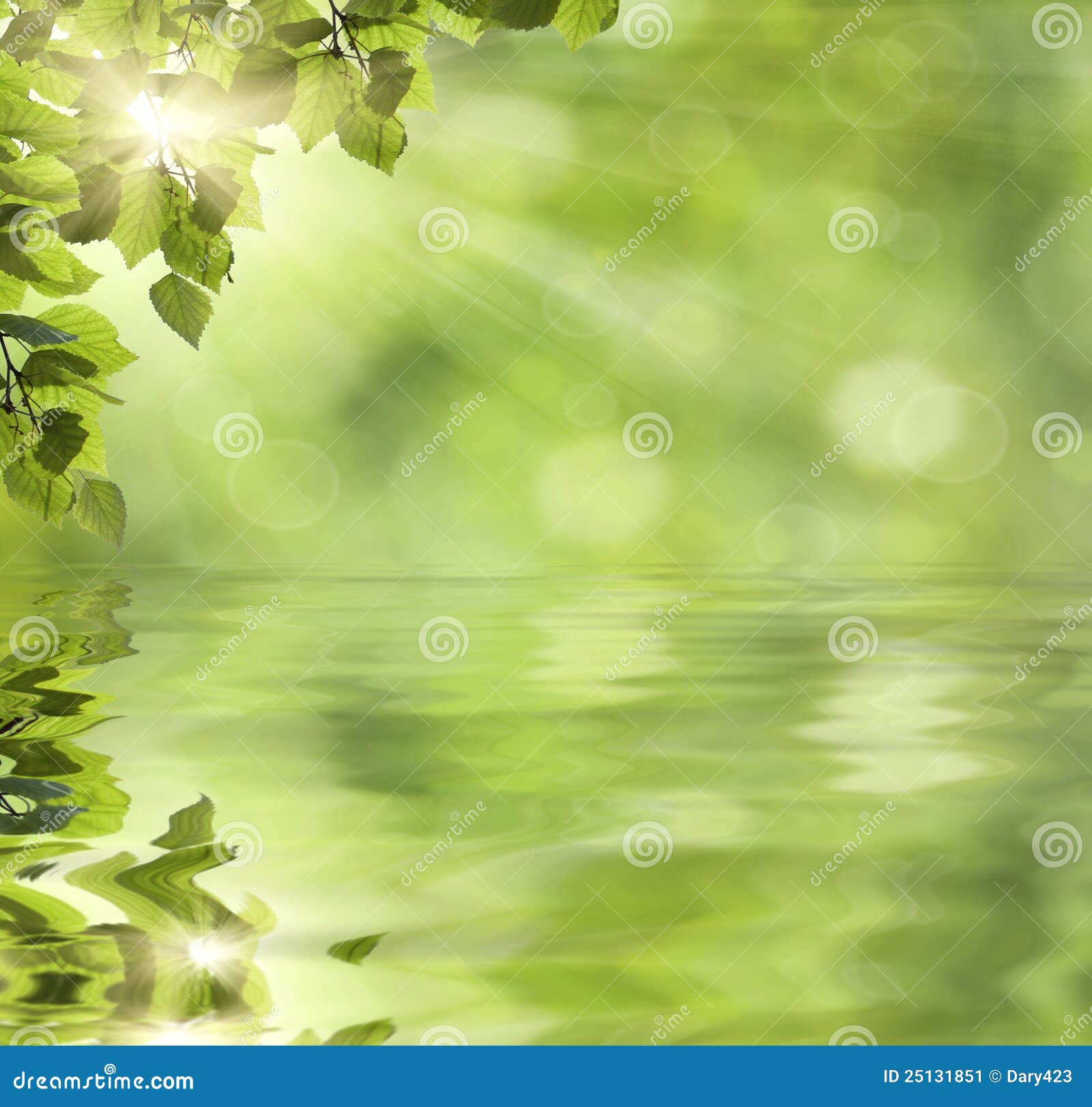 Fresh Green Leaves Over Water Stock Image - Image of background, nature ...