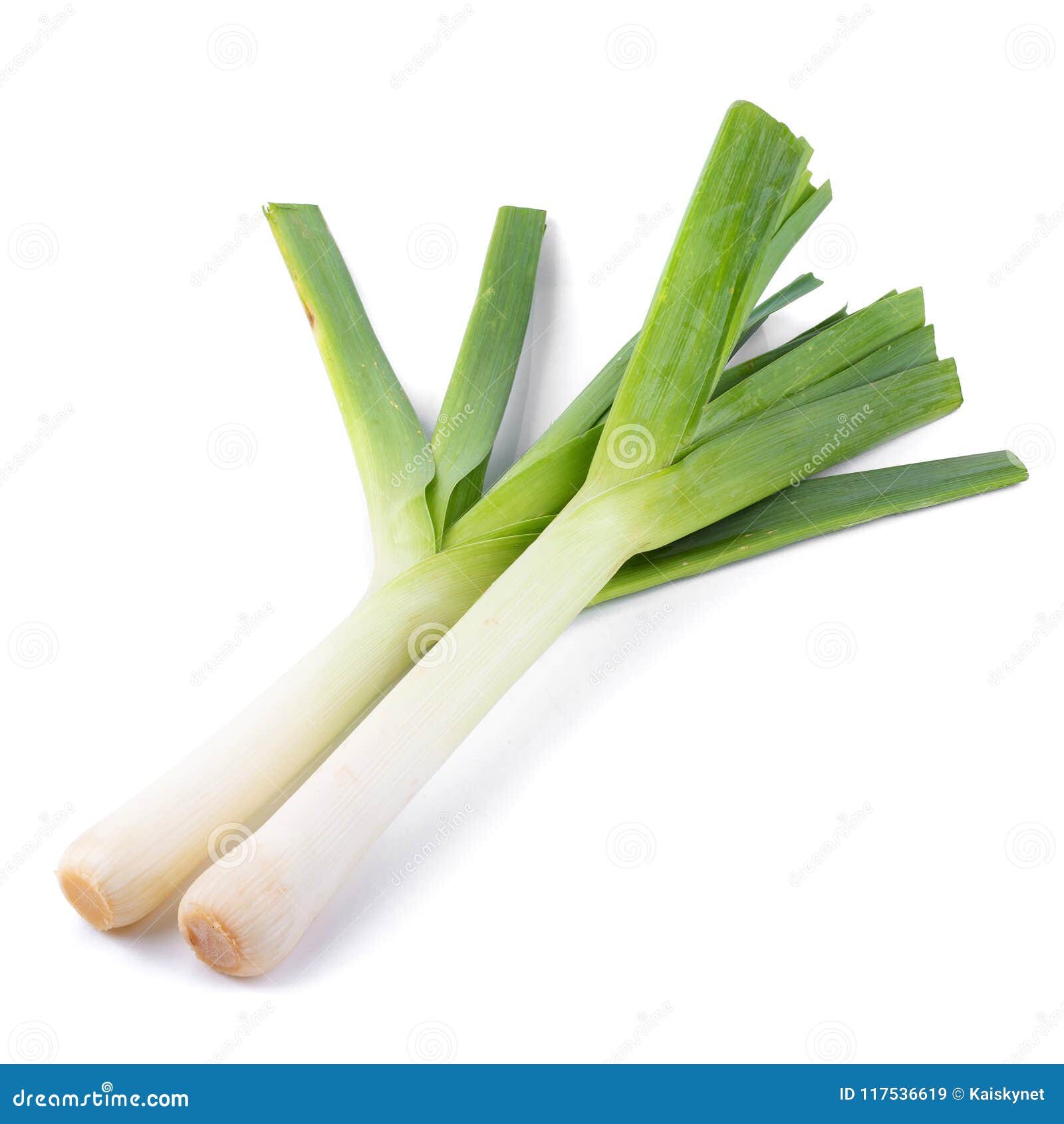 Fresh Green Leek Isolated on a White Background Stock Image - Image of ...
