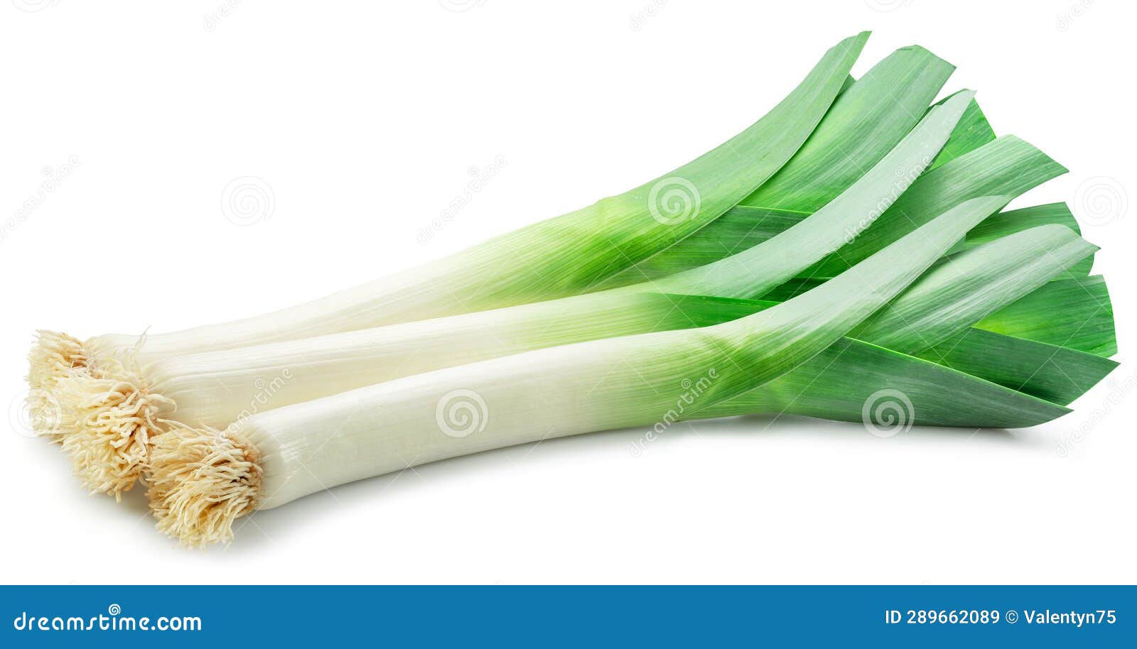 Fresh Green Leek Stems Isolated on White Background Stock Image - Image ...