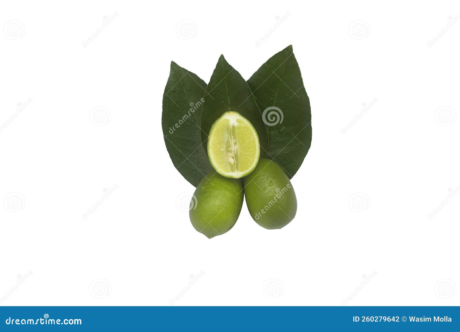 Fresh Green Lemon Slice Pieces with Leaves Isolated on a White ...