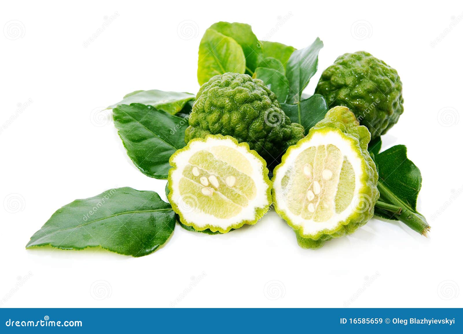 Fresh green lime. Kafir stock image. Image of lime, organic - 16585659