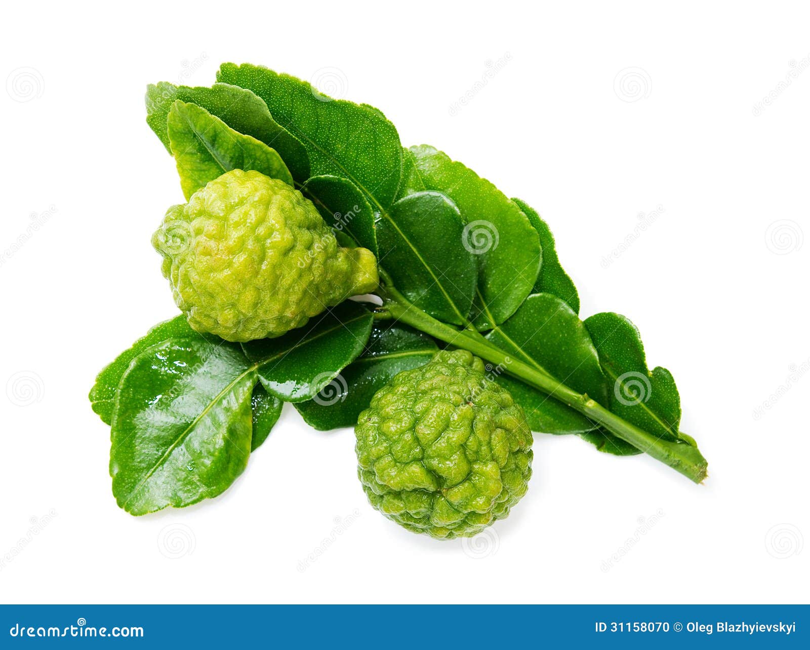 Fresh green lime. Kafir stock photo. Image of heap, organic - 31158070