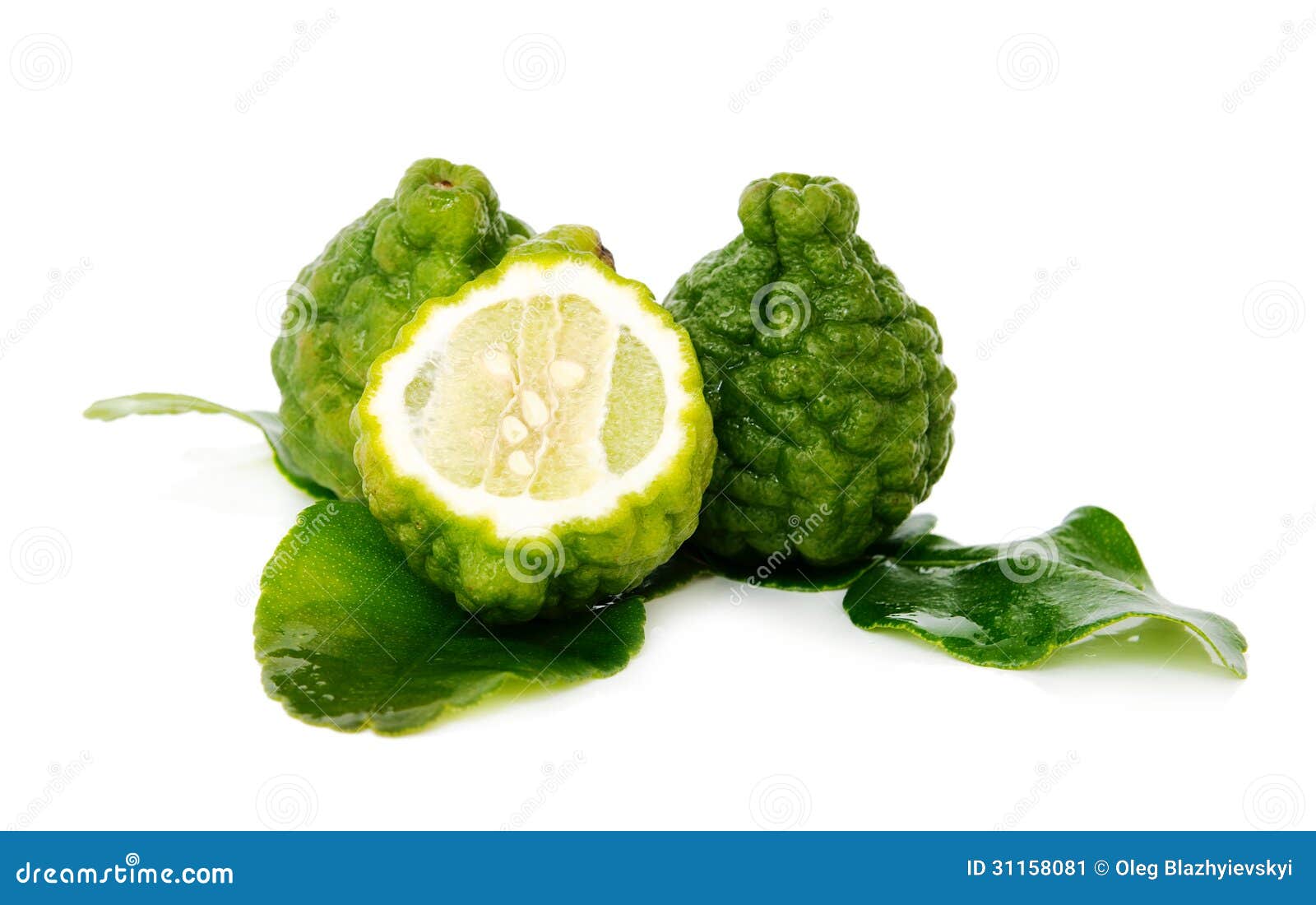 Fresh green lime. Kafir stock image. Image of citrus - 31158081