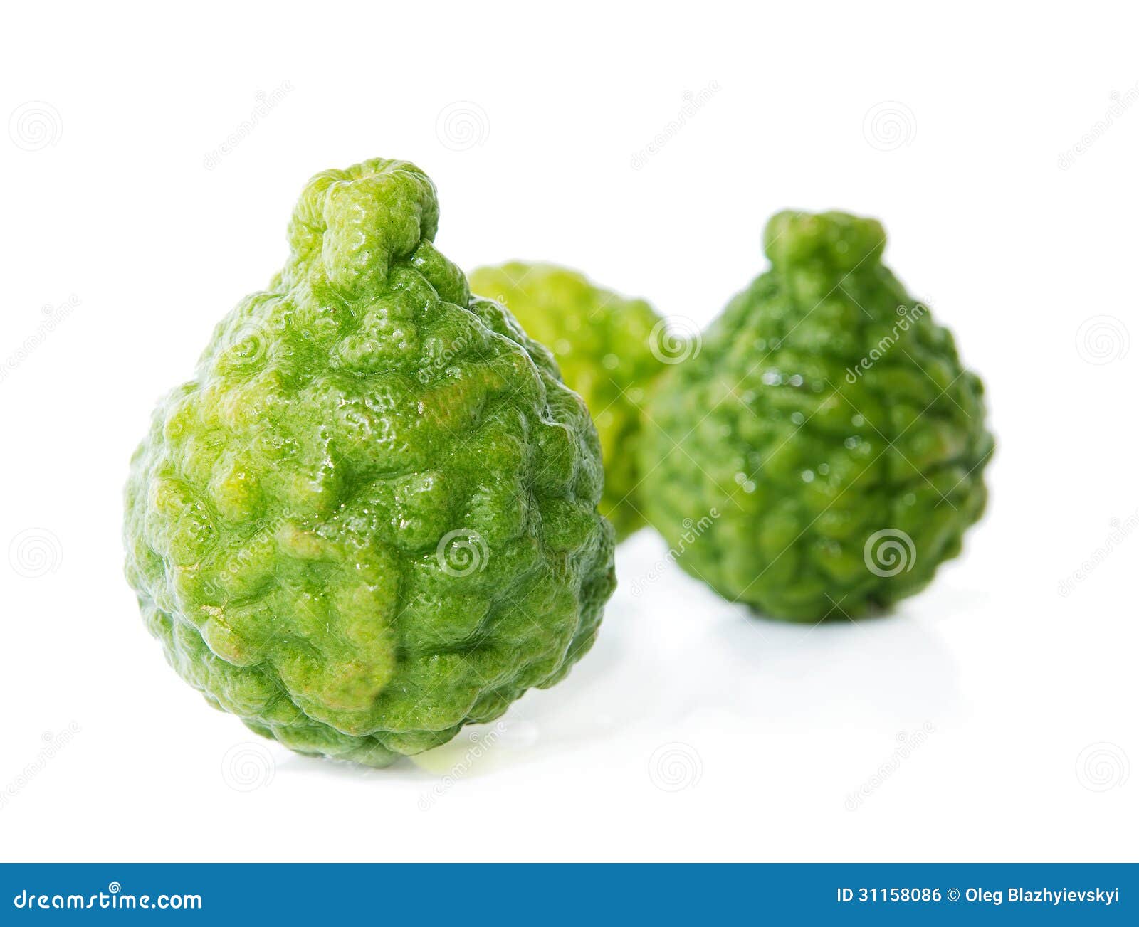 Fresh green lime. Kafir stock photo. Image of freshness - 31158086