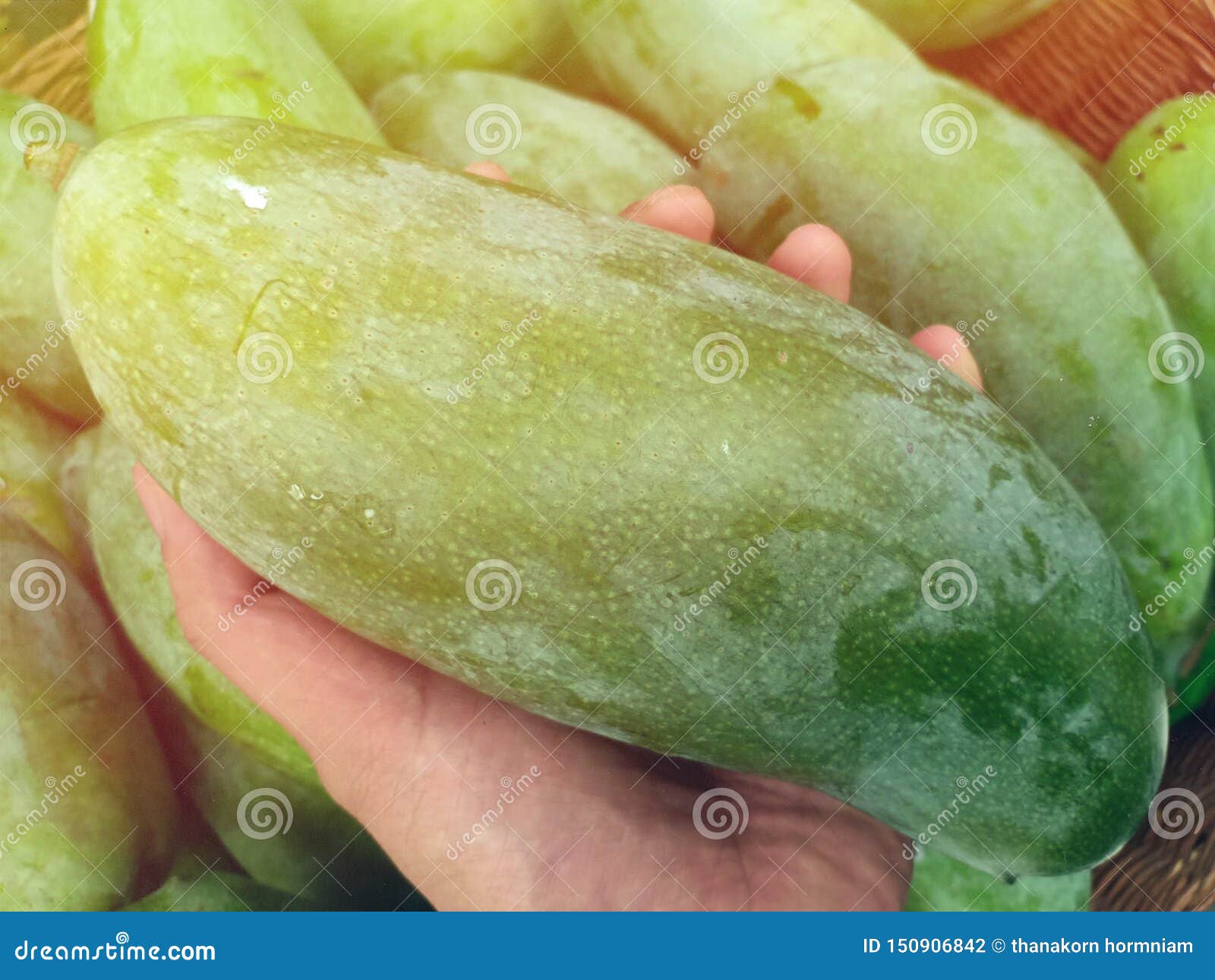 Fresh Green Mango in the Local Market in Thailand Stock Photo - Image ...