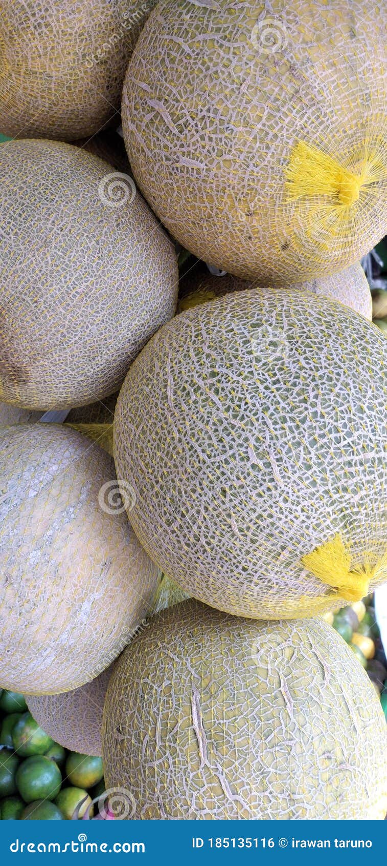 Fresh green melons stock photo. Image of melon, green - 185135116