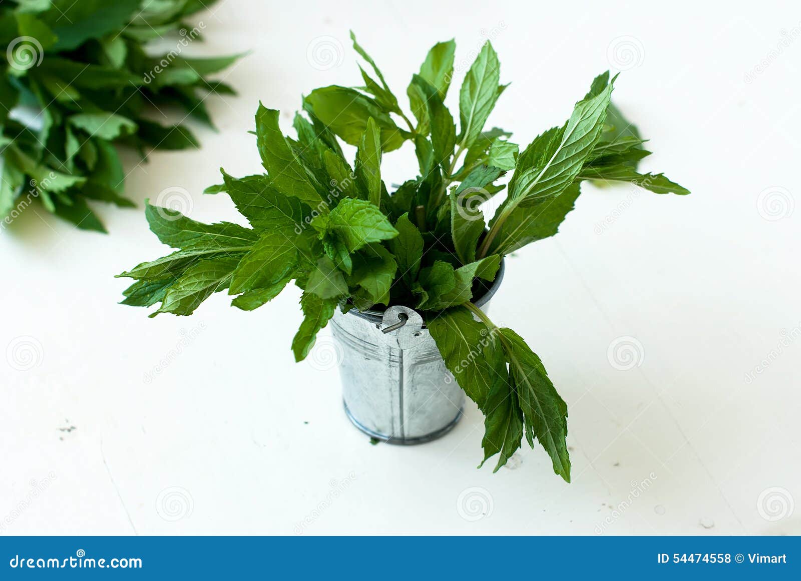 Fresh Green Mint in a Bucket Stock Photo - Image of spice, natural ...