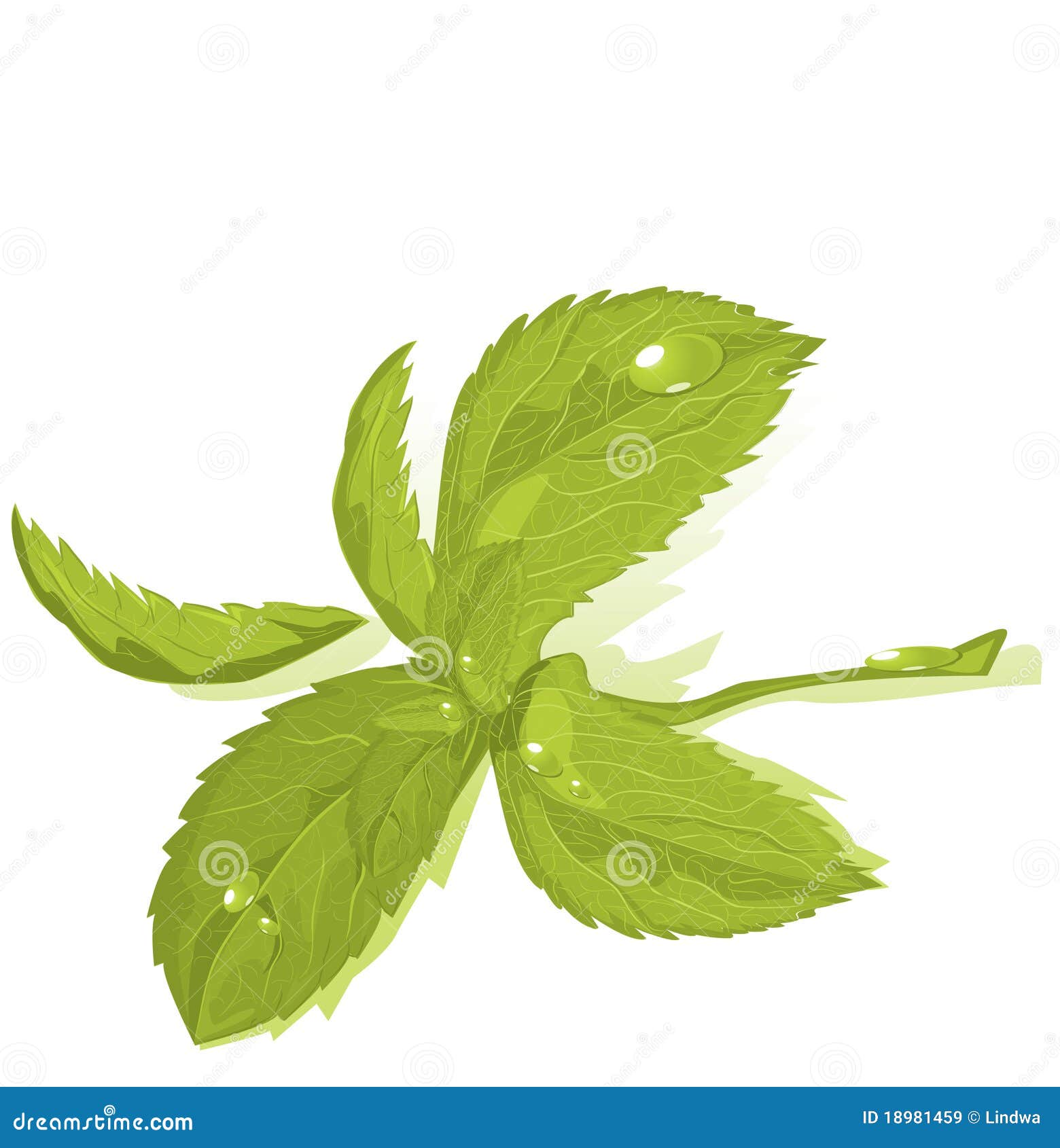 Fresh green mint leaves stock illustration. Illustration of grass ...
