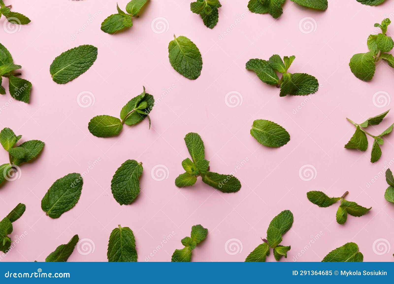 Fresh Green Mint Leaves on White Background, Mint Leaves Pattern Top ...