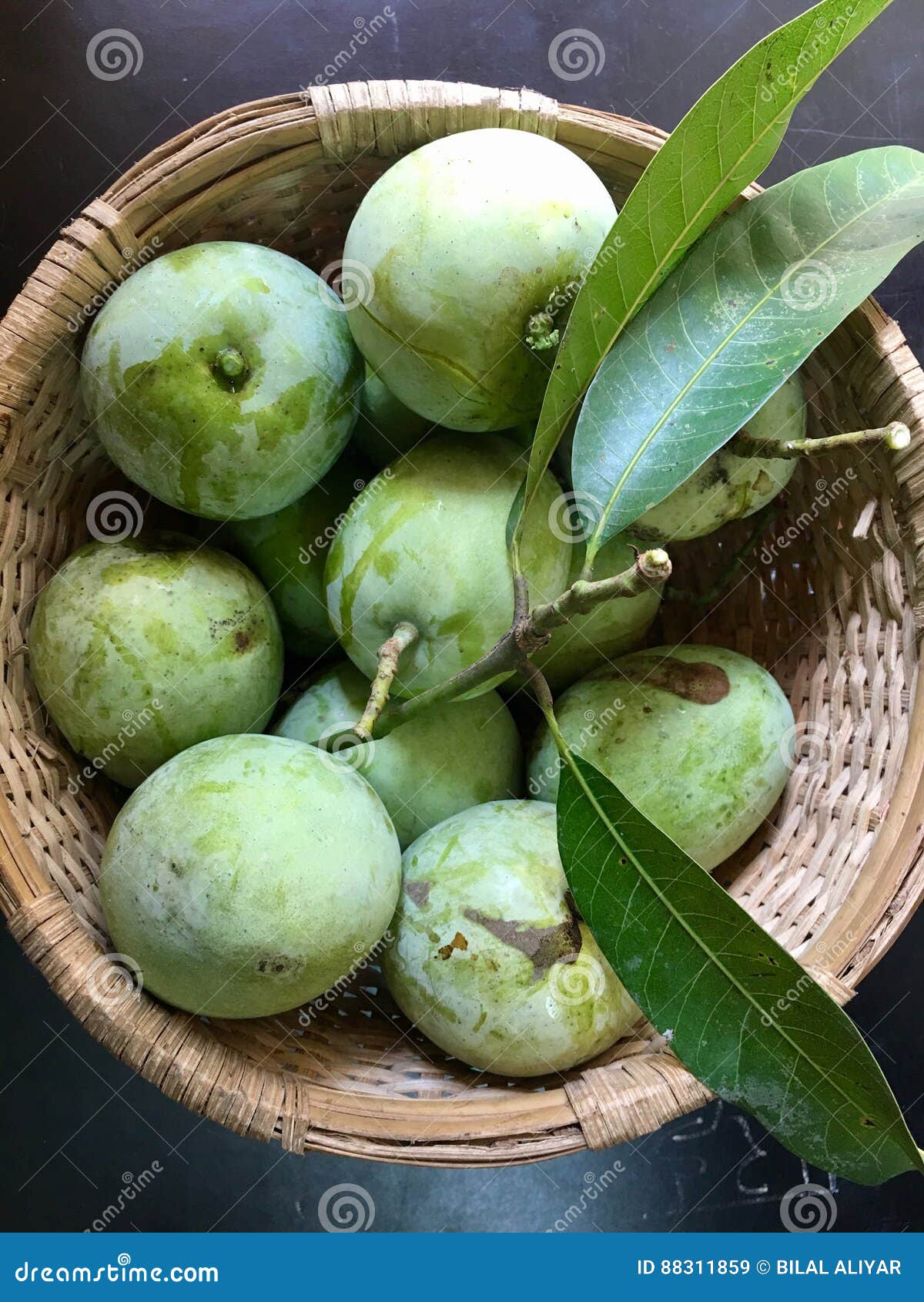 Fresh Green Moovandan Mangoes Stock Image - Image of fresh, organic ...