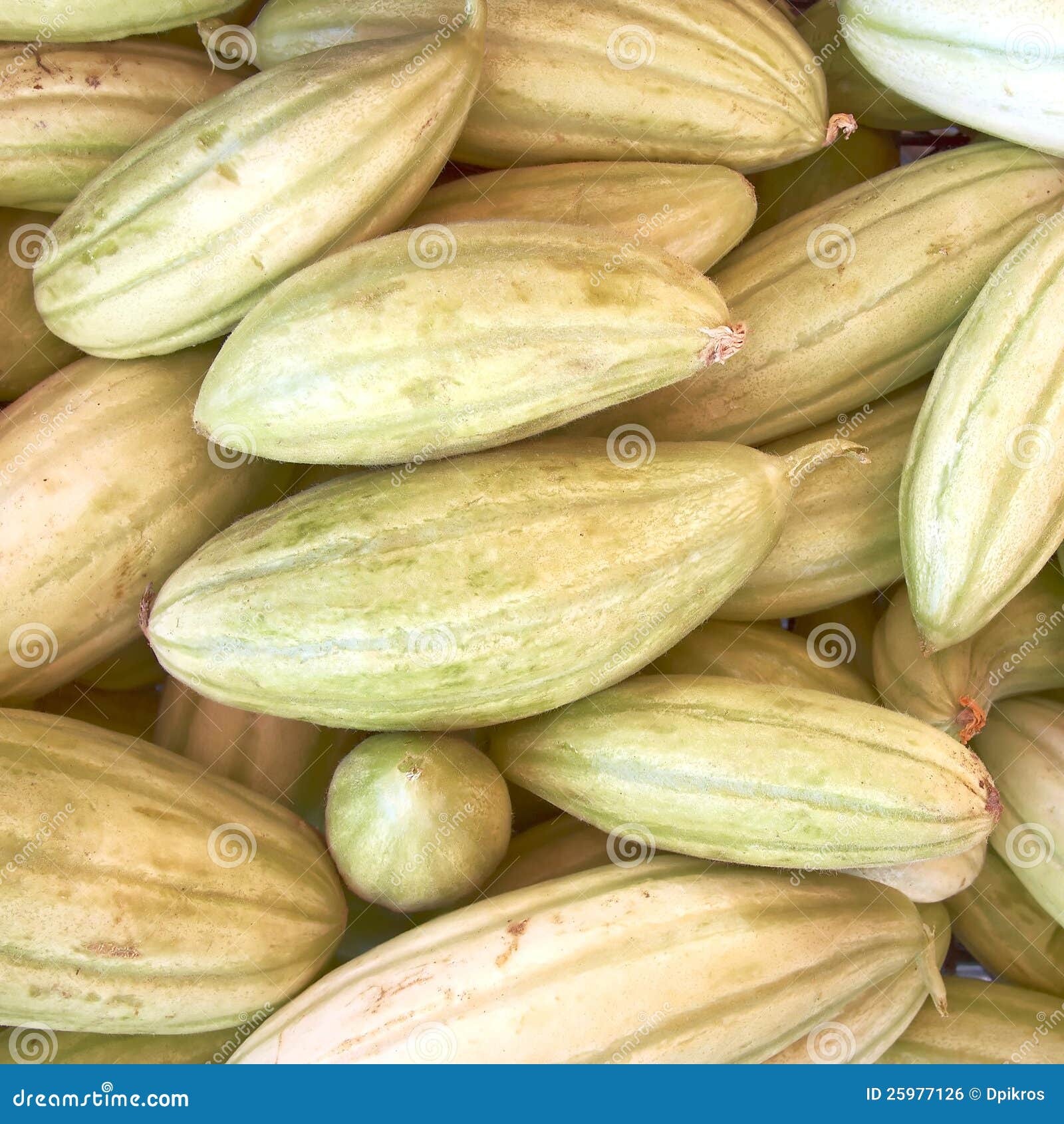 Fresh green muskmelons stock photo. Image of organic - 25977126