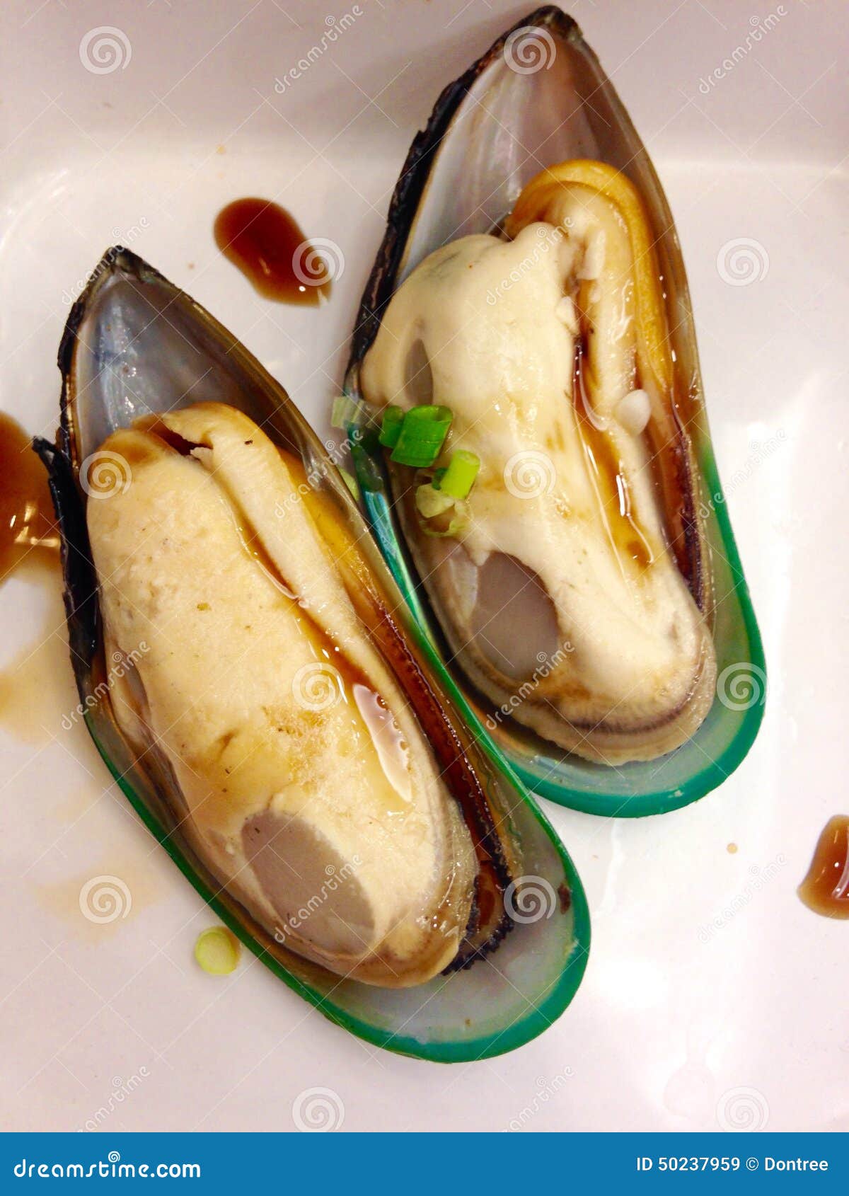 Fresh green mussel stock image. Image of animal, grill - 50237959