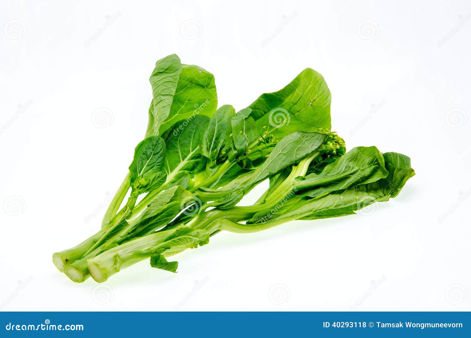 Fresh Green Mustard on White Background (Brassica Juncea) Stock Photo ...