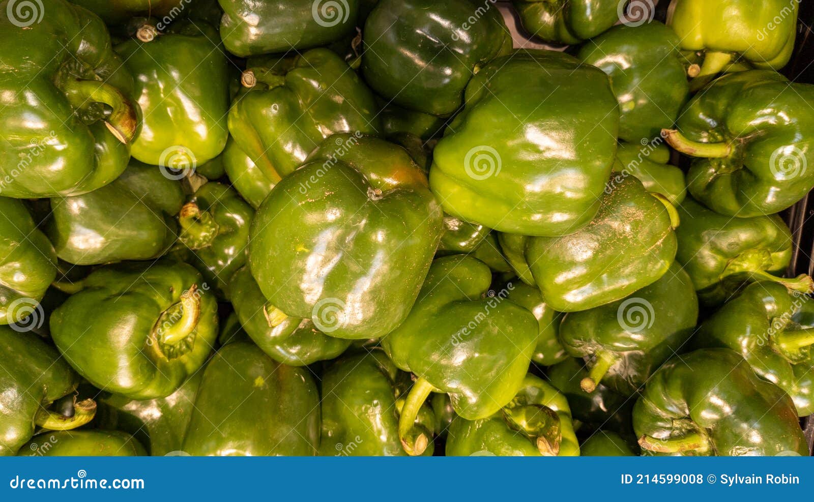 Fresh Green Natural Bell Pepper Background Wallpaper Stock Photo ...