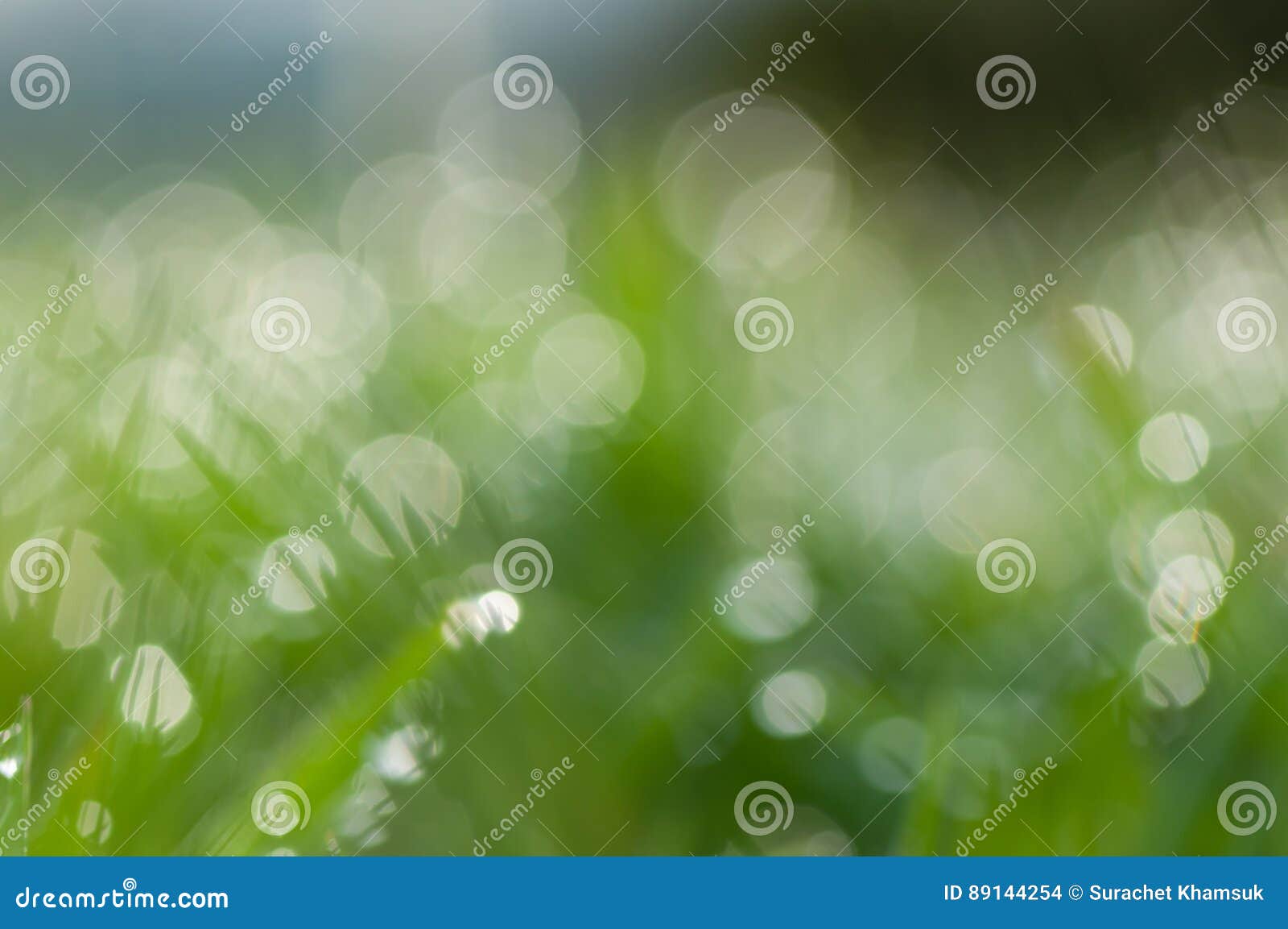 Fresh Green Natural Light Abstract Background Stock Photo - Image of ...