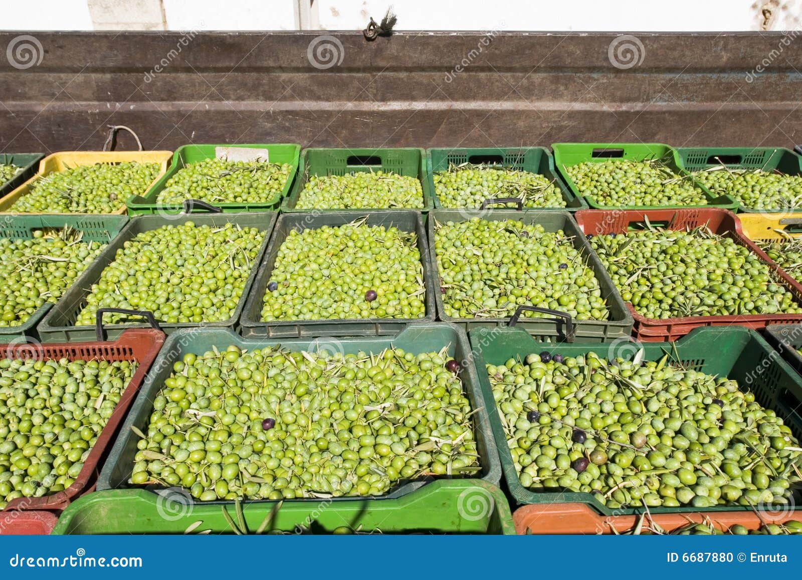 265 Olives Boxes Stock Photos - Free & Royalty-Free Stock Photos from ...