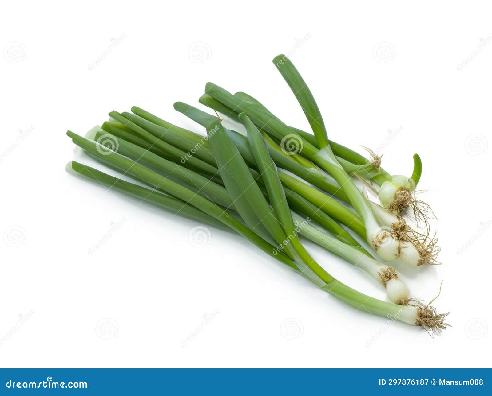 Fresh Green Onion Isolated on a White Background Stock Image - Image of ...