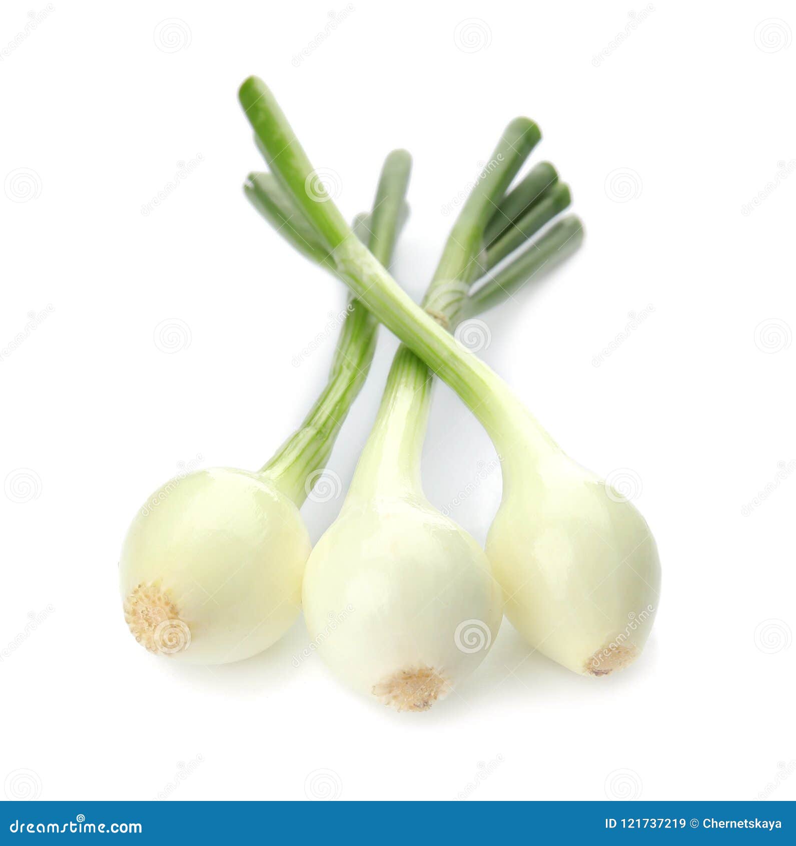 Fresh green onion on white stock image. Image of organic - 121737219