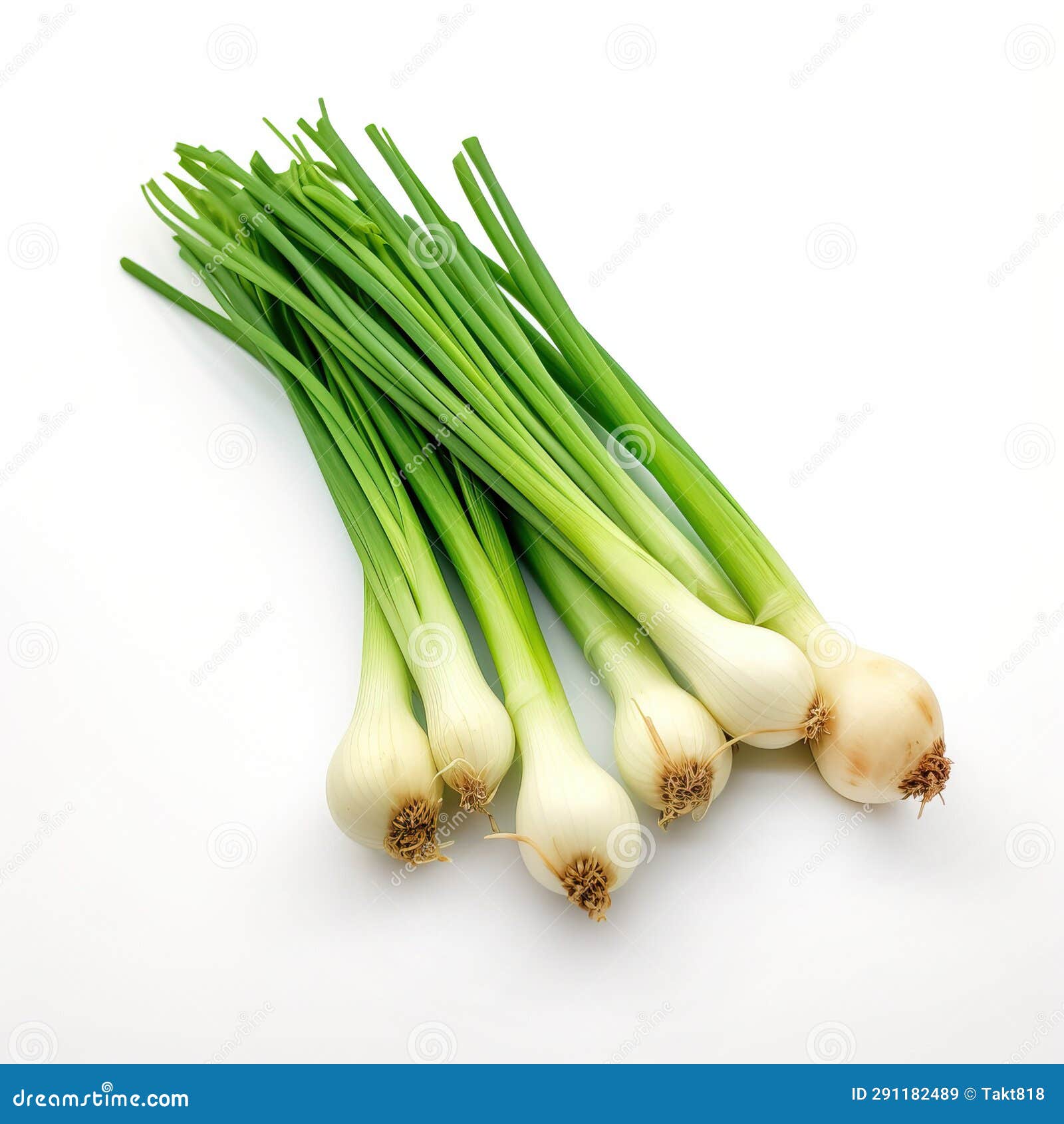 Fresh Green Onion on White Background Stock Image - Image of vegetable ...