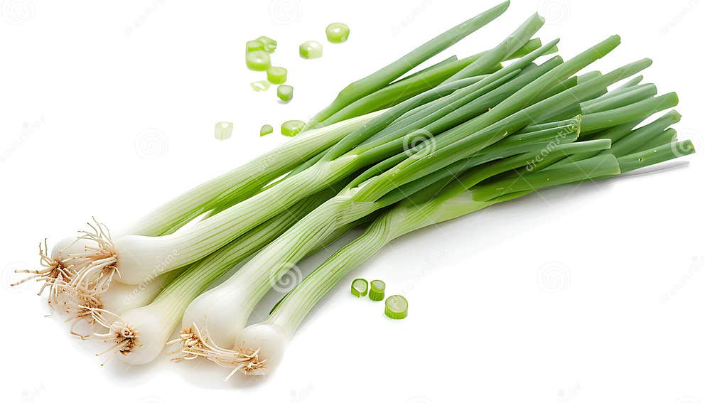 Fresh Green Onion on White Background Stock Illustration - Illustration ...