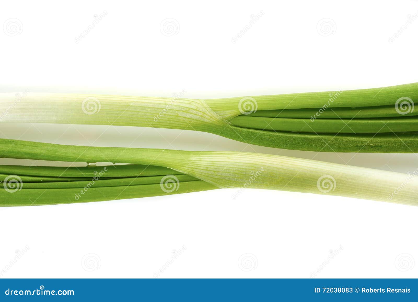 Fresh Green Onion on White Background Stock Image - Image of healthy ...