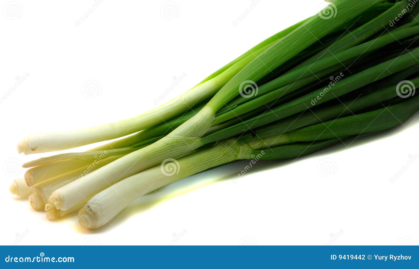 Fresh green onions stock photo. Image of healthy, cuisine - 9419442