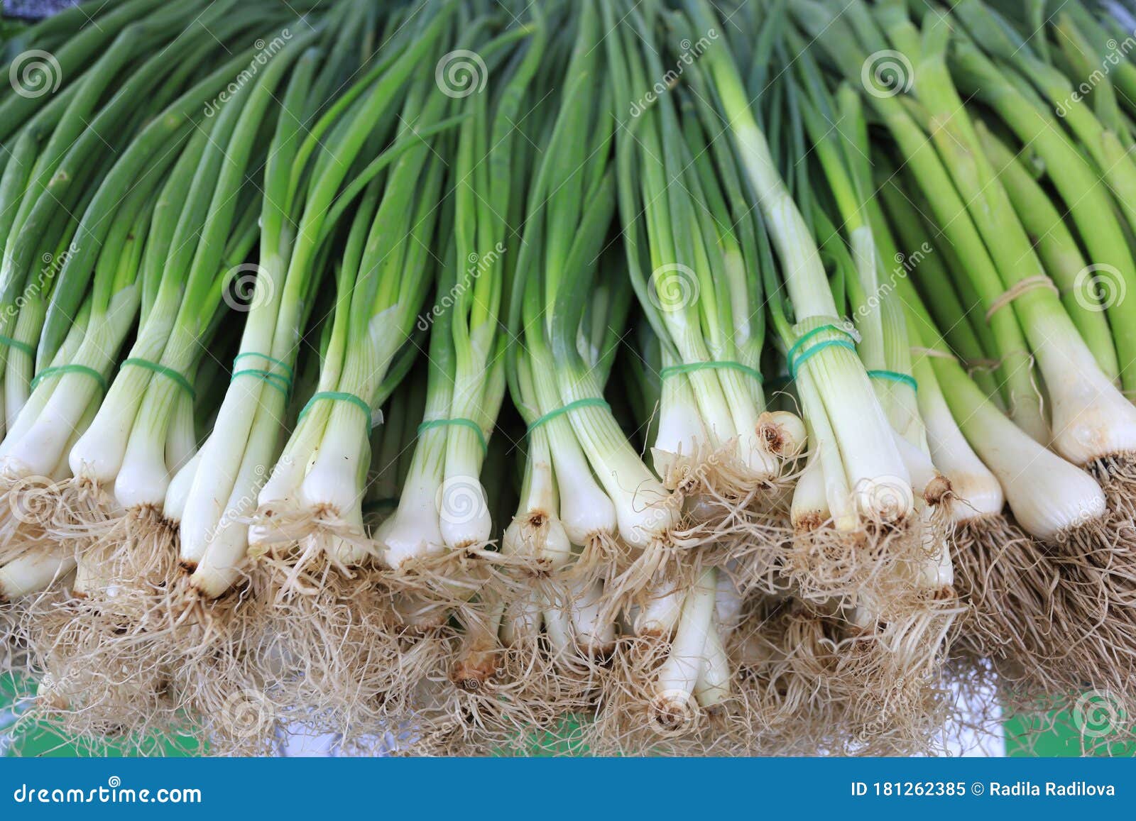 Fresh Green Onions As Background. Spring Onion Pattern Stock Image ...
