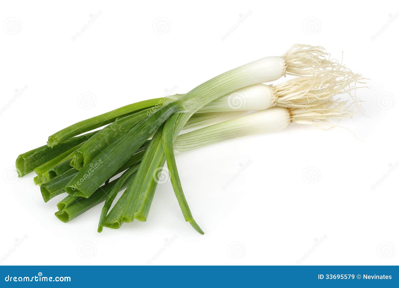 Fresh green onions stock image. Image of object, leeks - 33695579