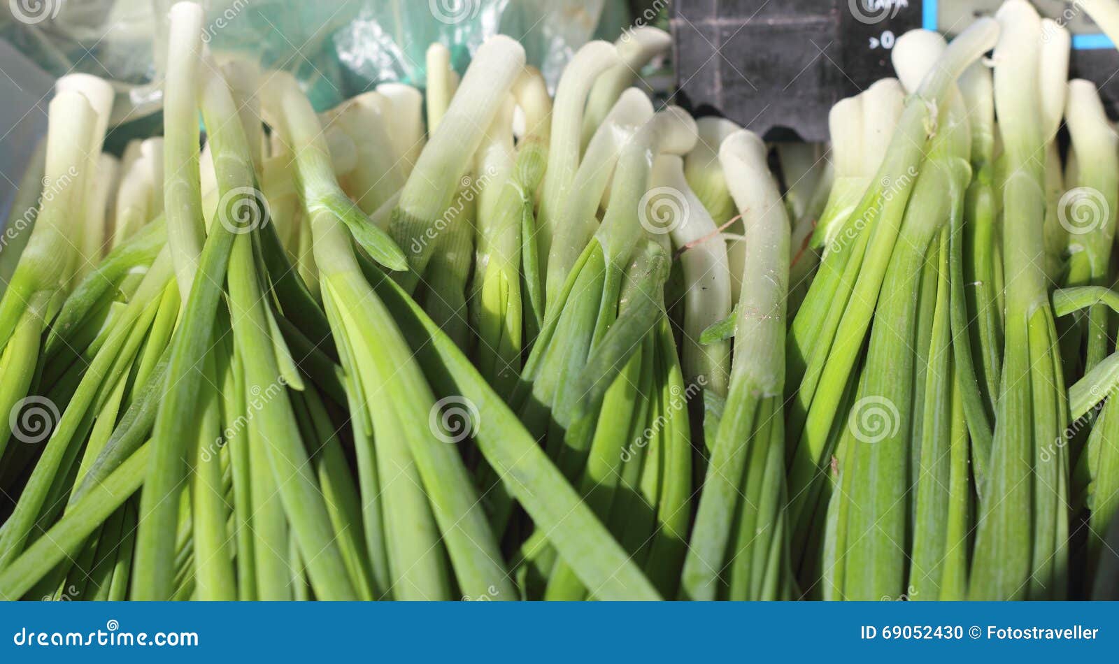 Fresh green onions stock photo. Image of vegetable, vegetables - 69052430