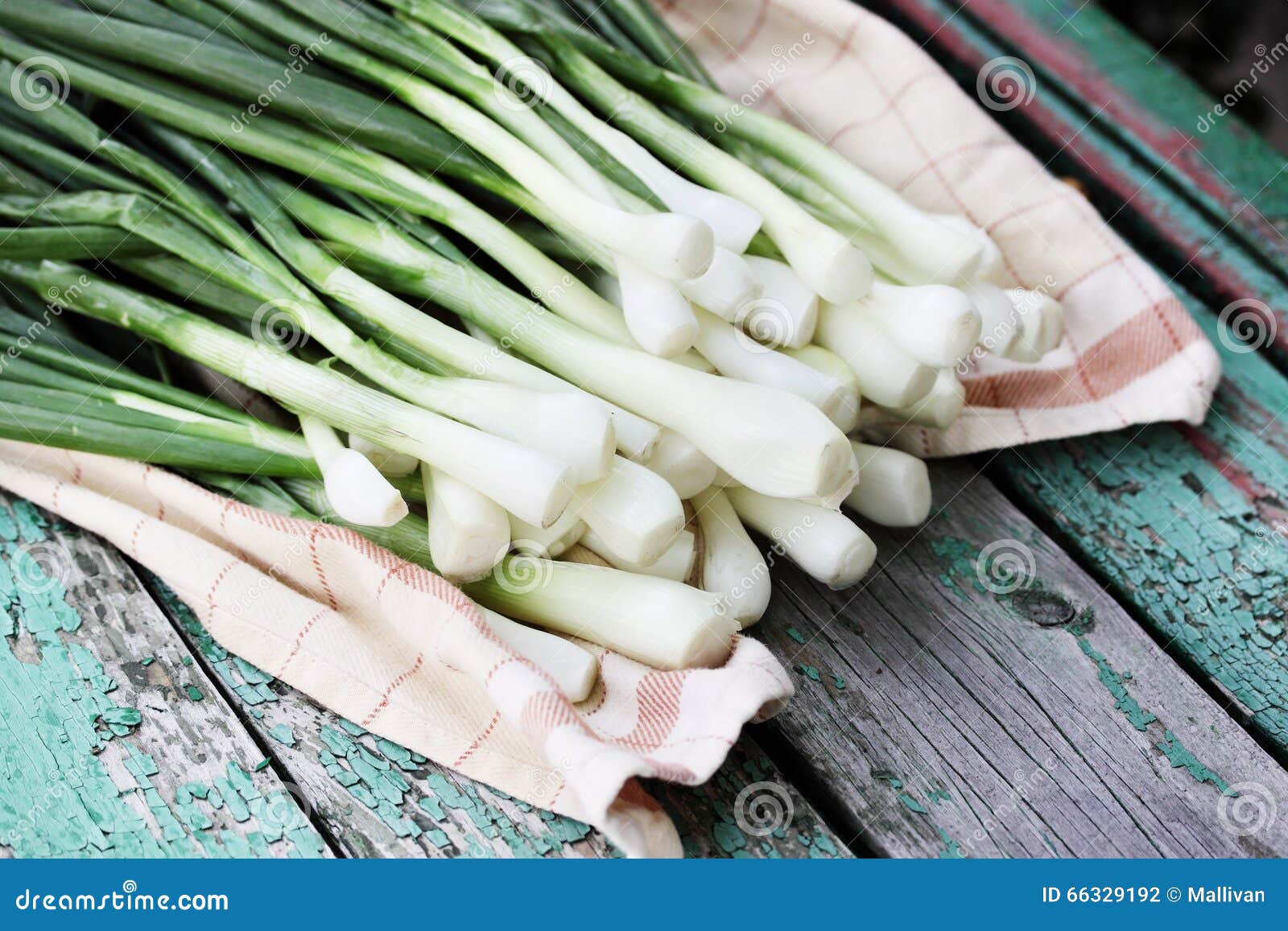 Fresh green onions stock photo. Image of oldfashioned - 66329192