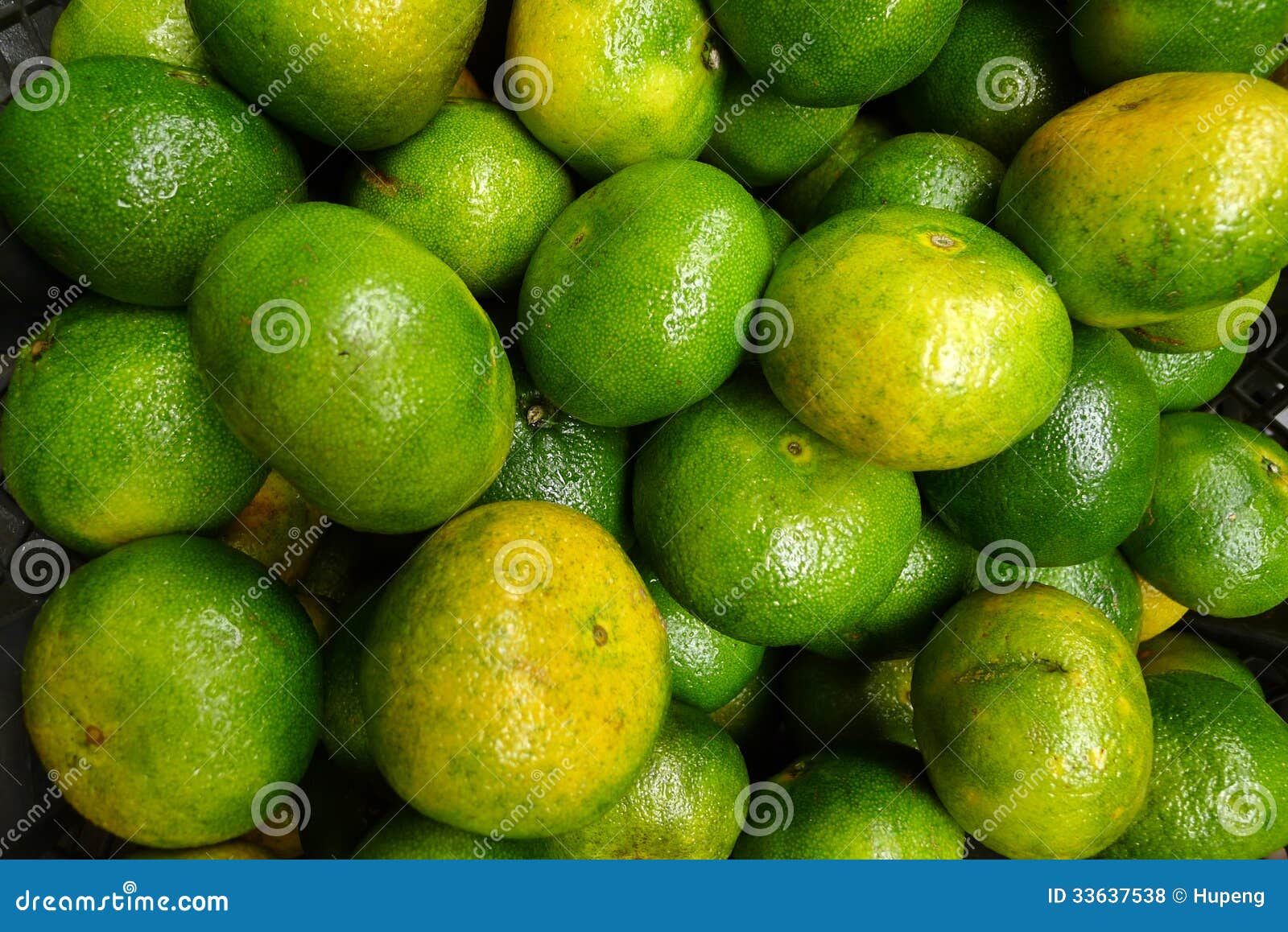 Fresh green orange stock photo. Image of garden, ground - 33637538