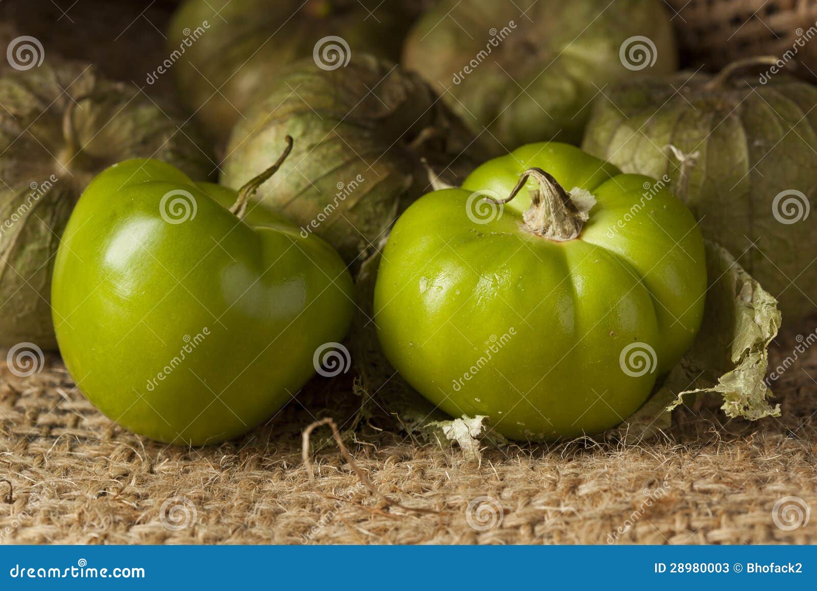 Fresh Green Organic Tomatillo Stock Image - Image of organic, verde ...
