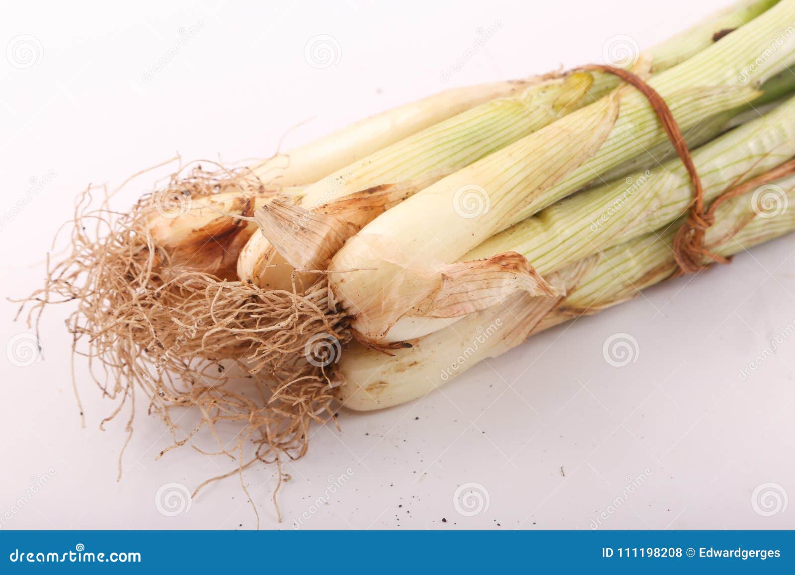 Onions Pack Egyption Vegetables Stock Photo - Image of health, egyption ...