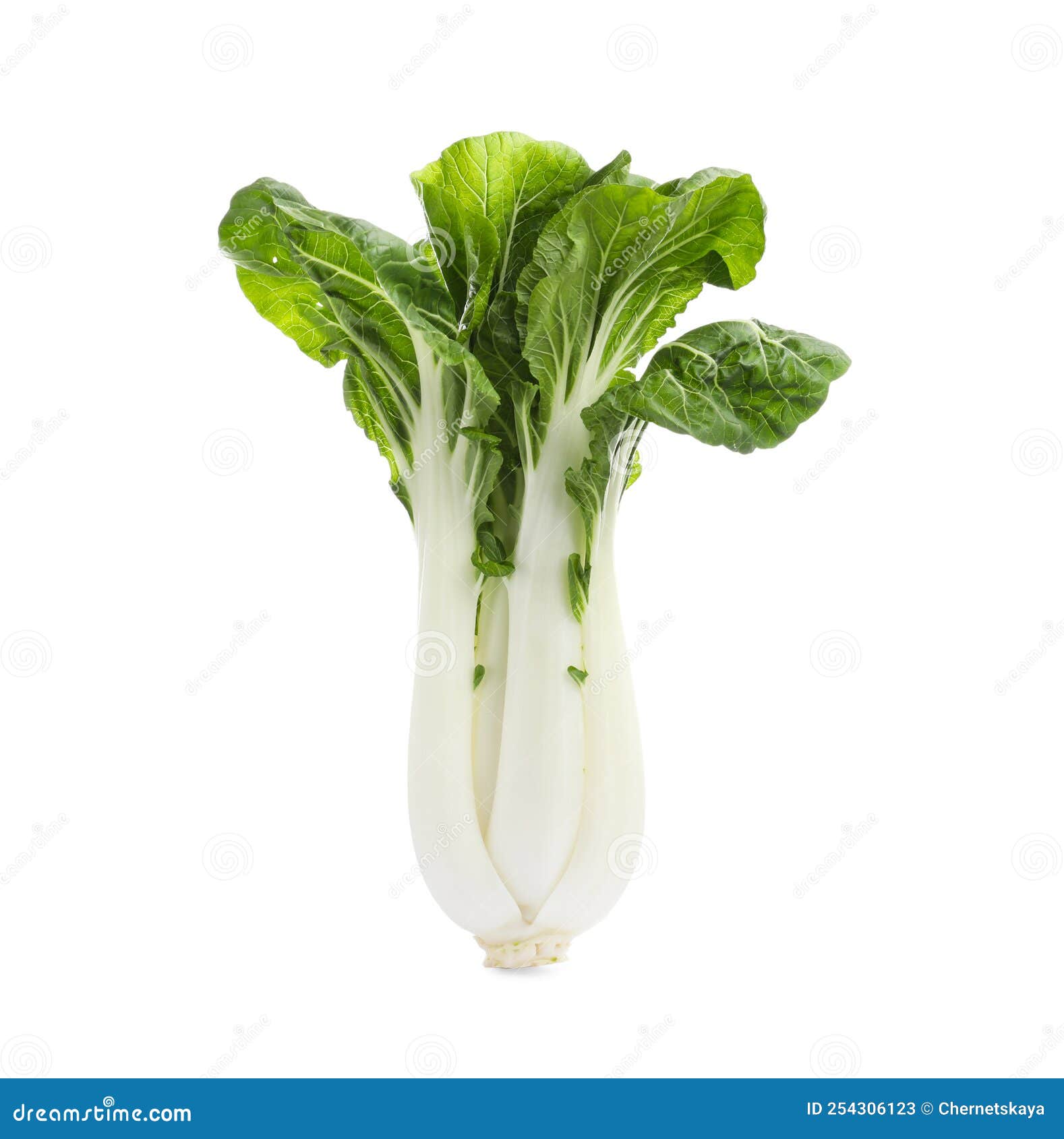 Fresh Green Pak Choy Cabbage Isolated on White, Top View Stock Image ...