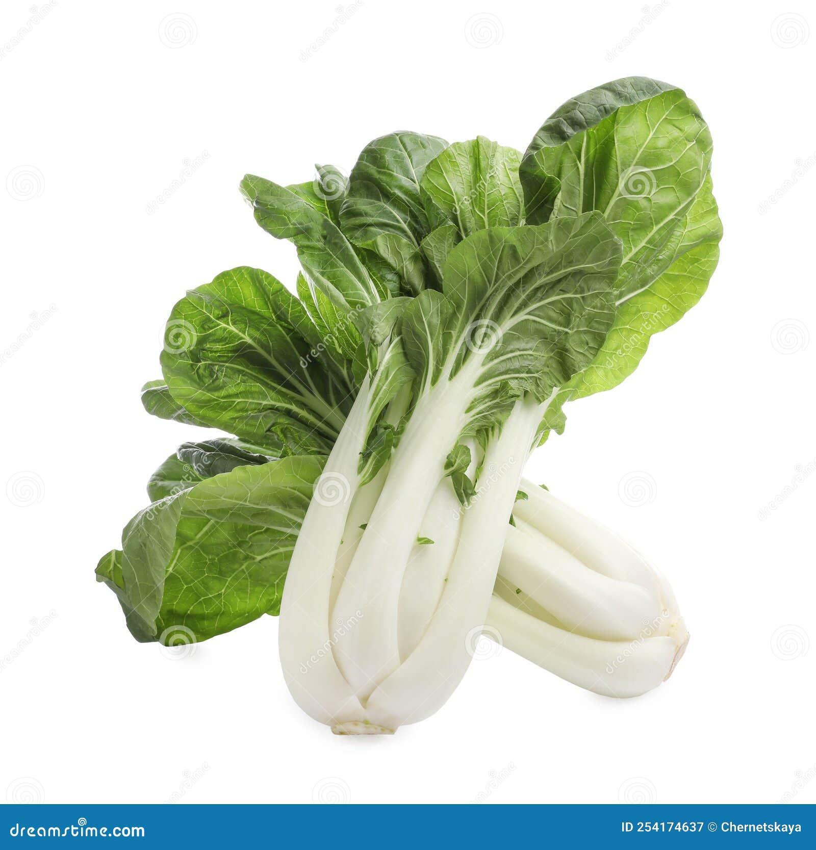 Fresh Green Pak Choy Cabbages on White Background Stock Image - Image ...