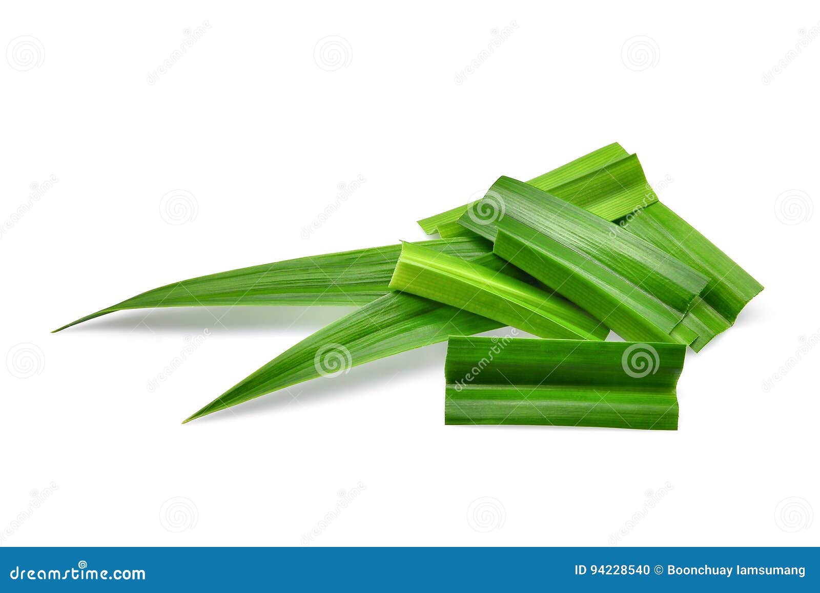 Fresh Green Pandan Leaves Isolated on White Stock Photo - Image of ...