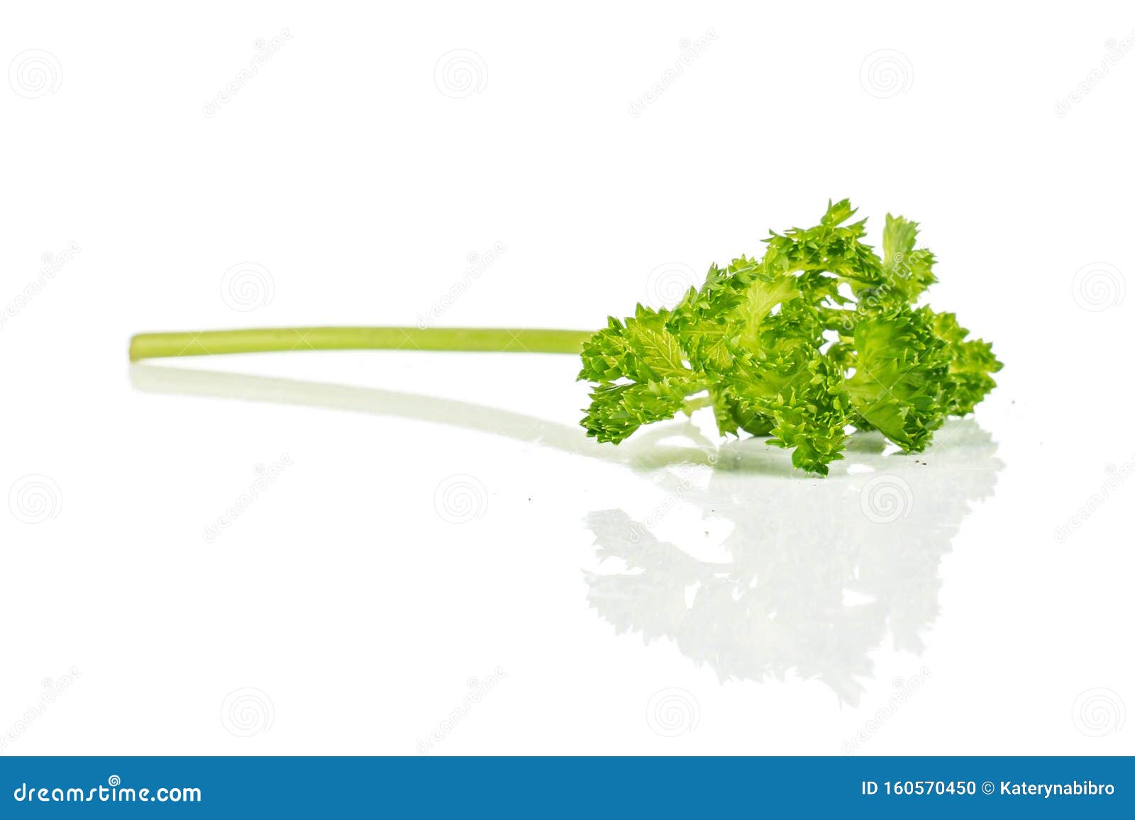 Fresh Green Parsley Isolated on White Stock Photo - Image of background ...