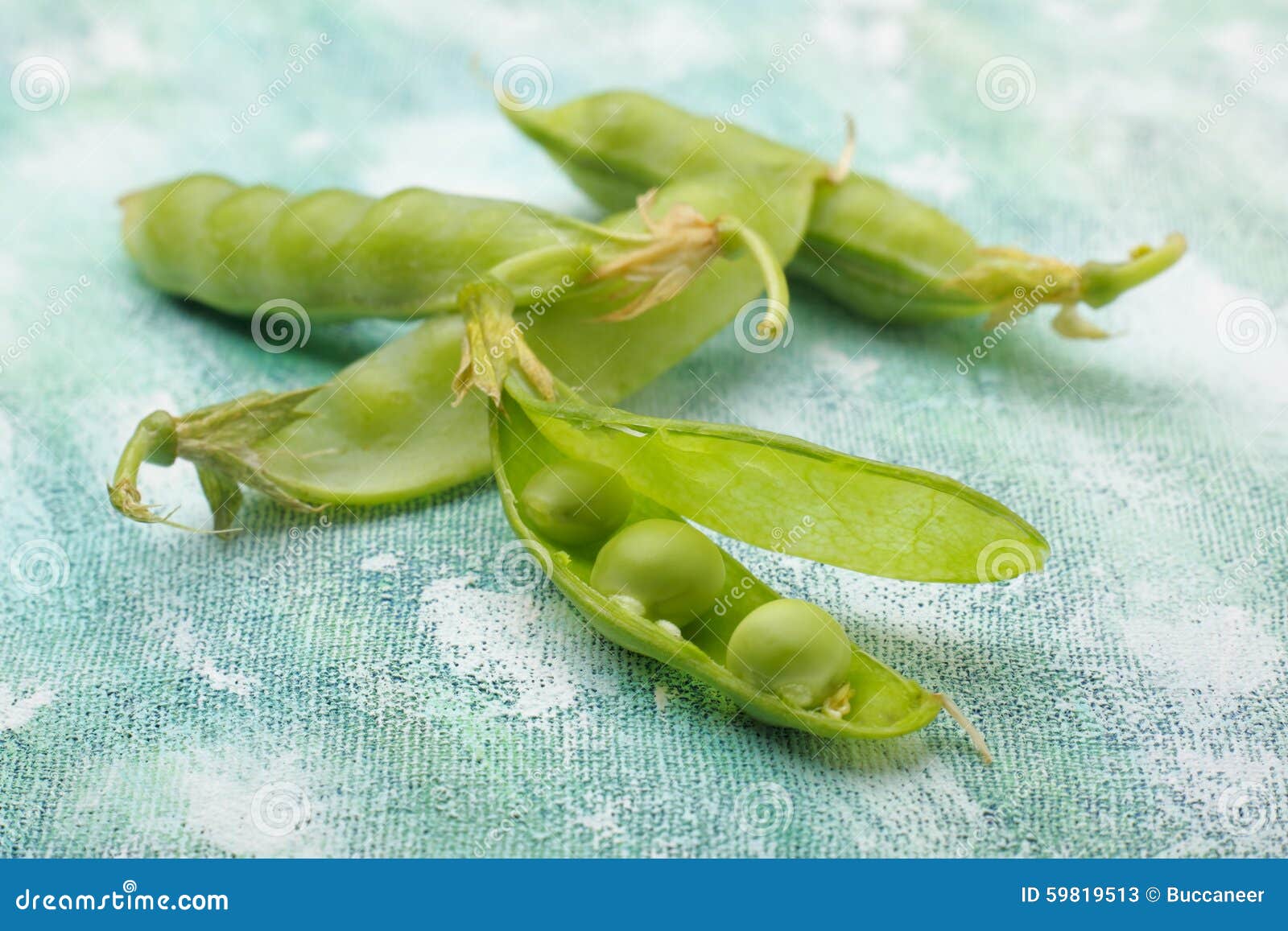 Fresh green pea pods stock image. Image of green, legume - 59819513