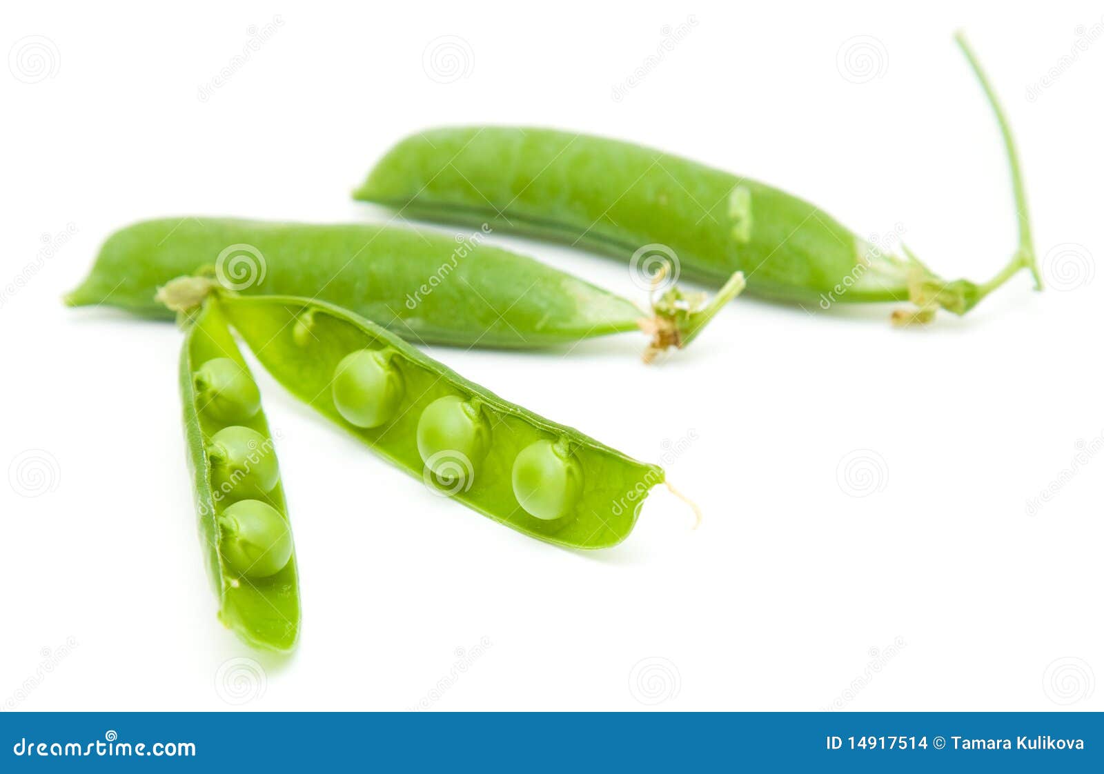 Fresh green peapods stock photo. Image of uncooked, season - 14917514